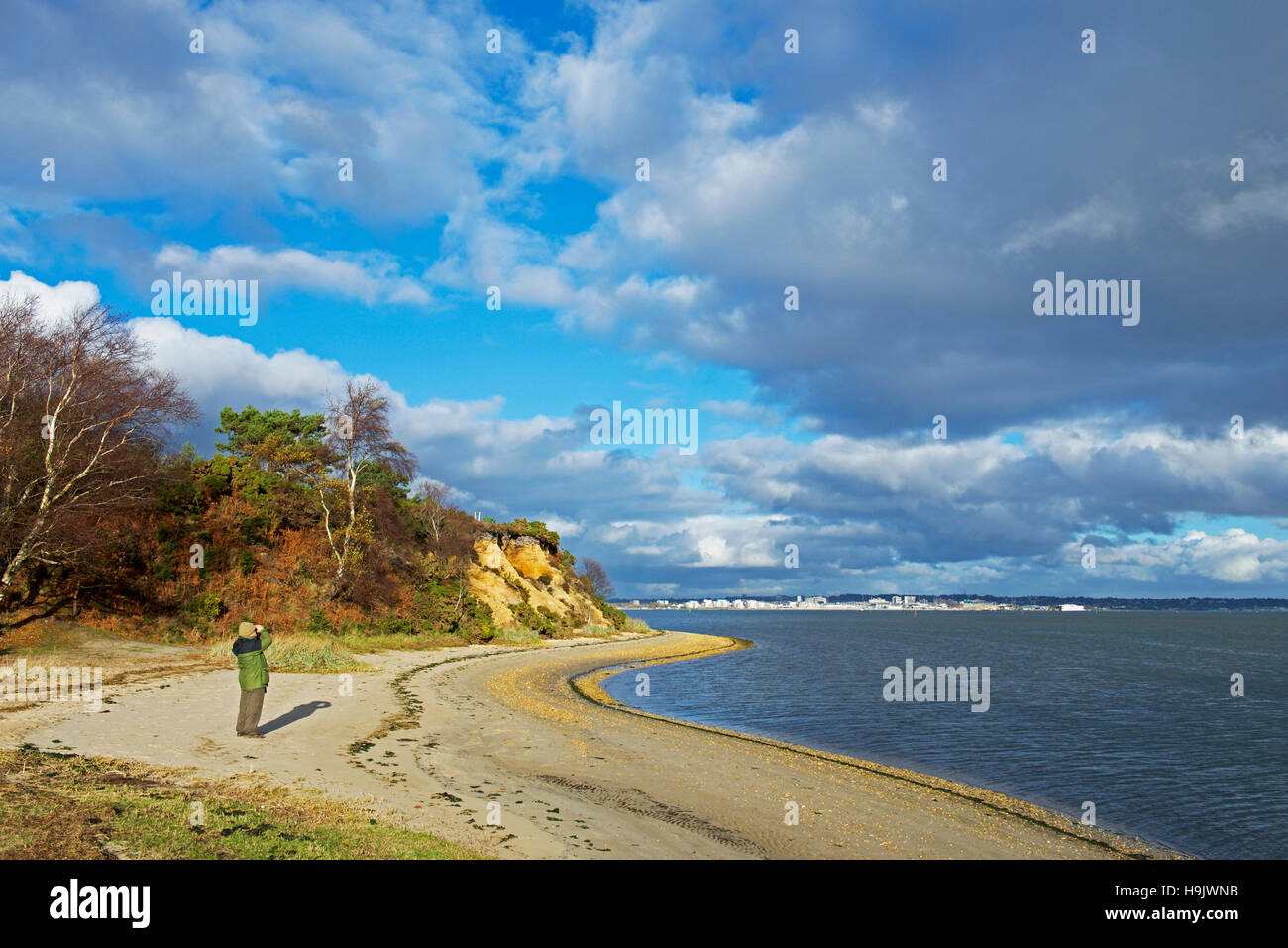 Bird watcher on the beach at RSPB Arne, a nature reserve in Dorset ...