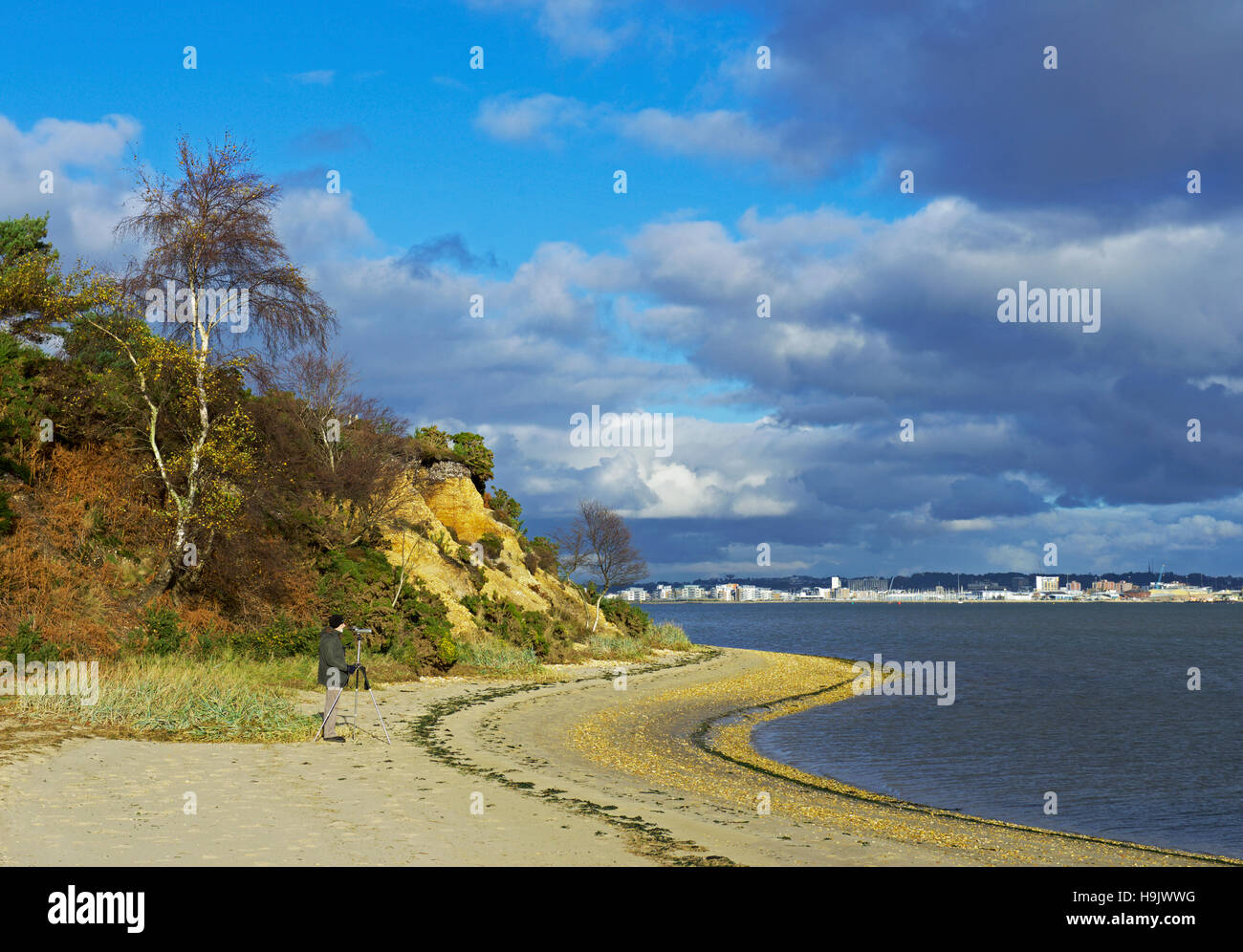 The beach at RSPB Arne, a nature reserve in Dorset, England Stock Photo ...