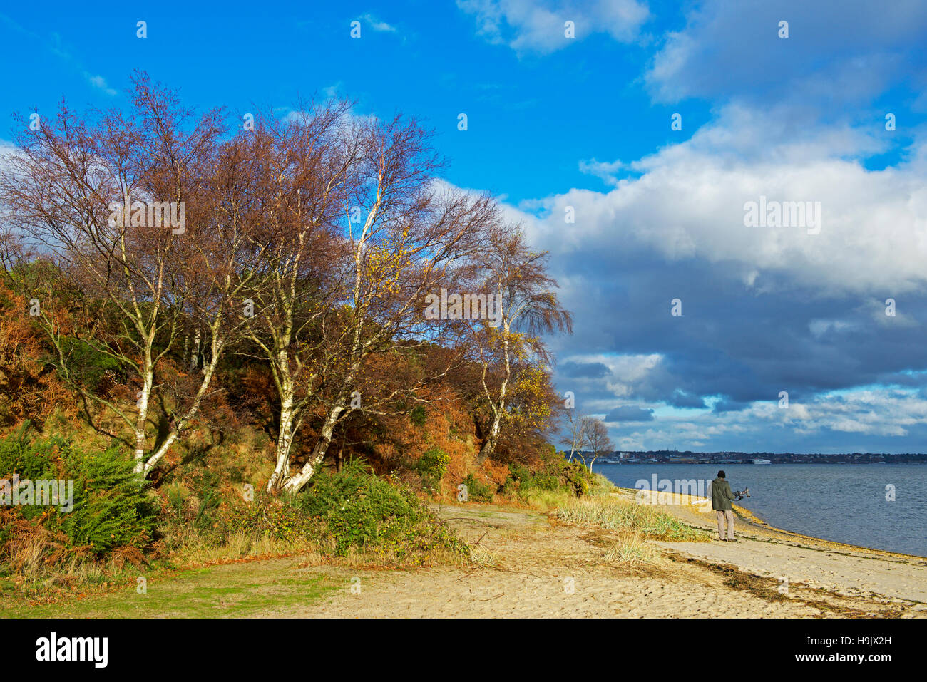 Bird watcher on the beach at RSPB Arne, a nature reserve in Dorset ...
