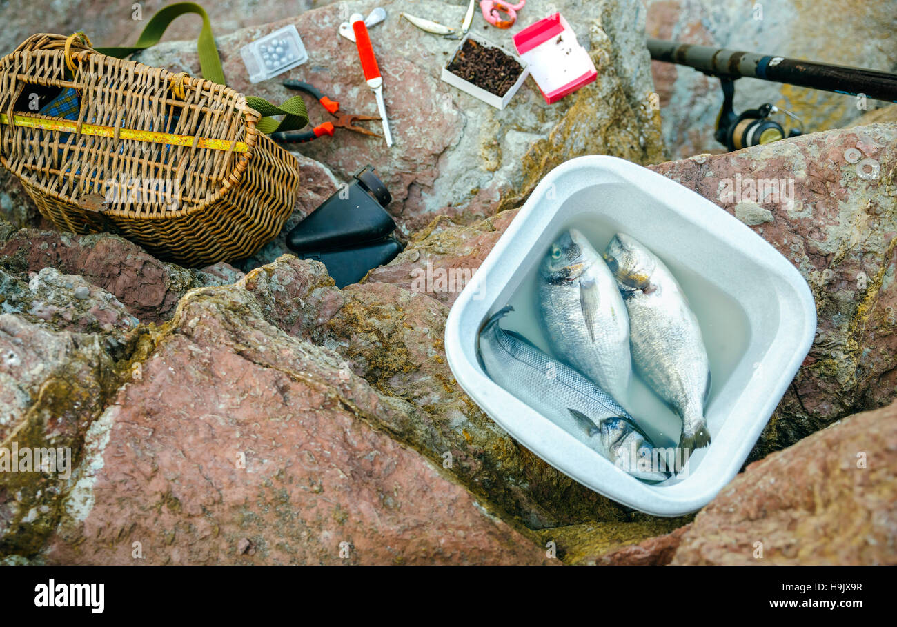 Bucket with caught fish and fishing equipment on rock Stock Photo - Alamy