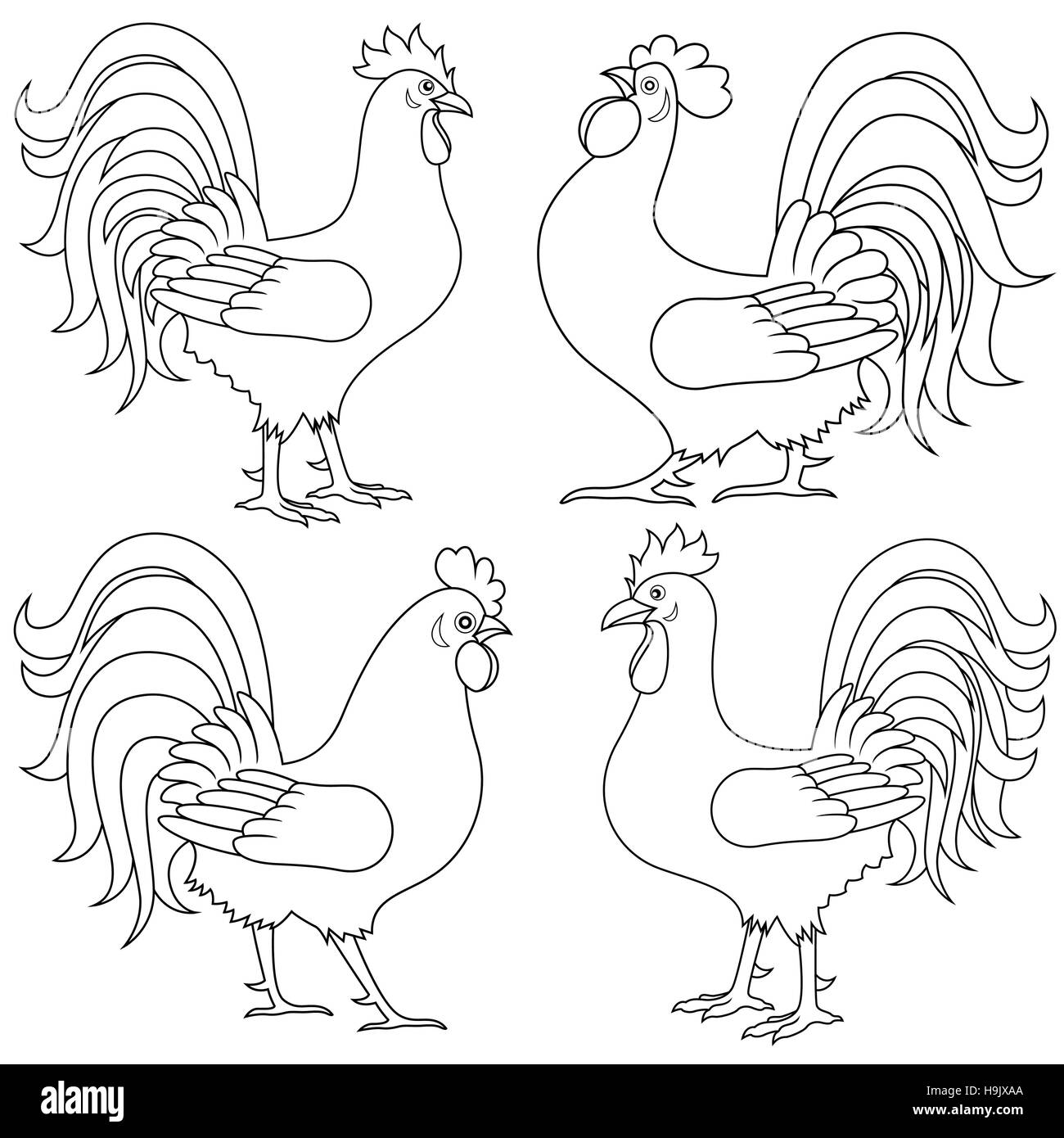 Set of four various rooster vector outlines isolated on the white ...