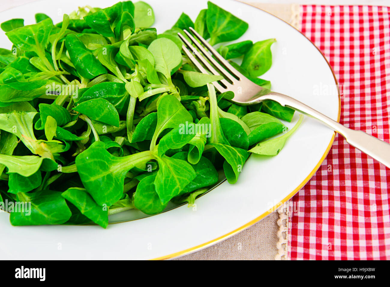 Green Fresh Salad on Plate Studio Photo Stock Photo - Alamy