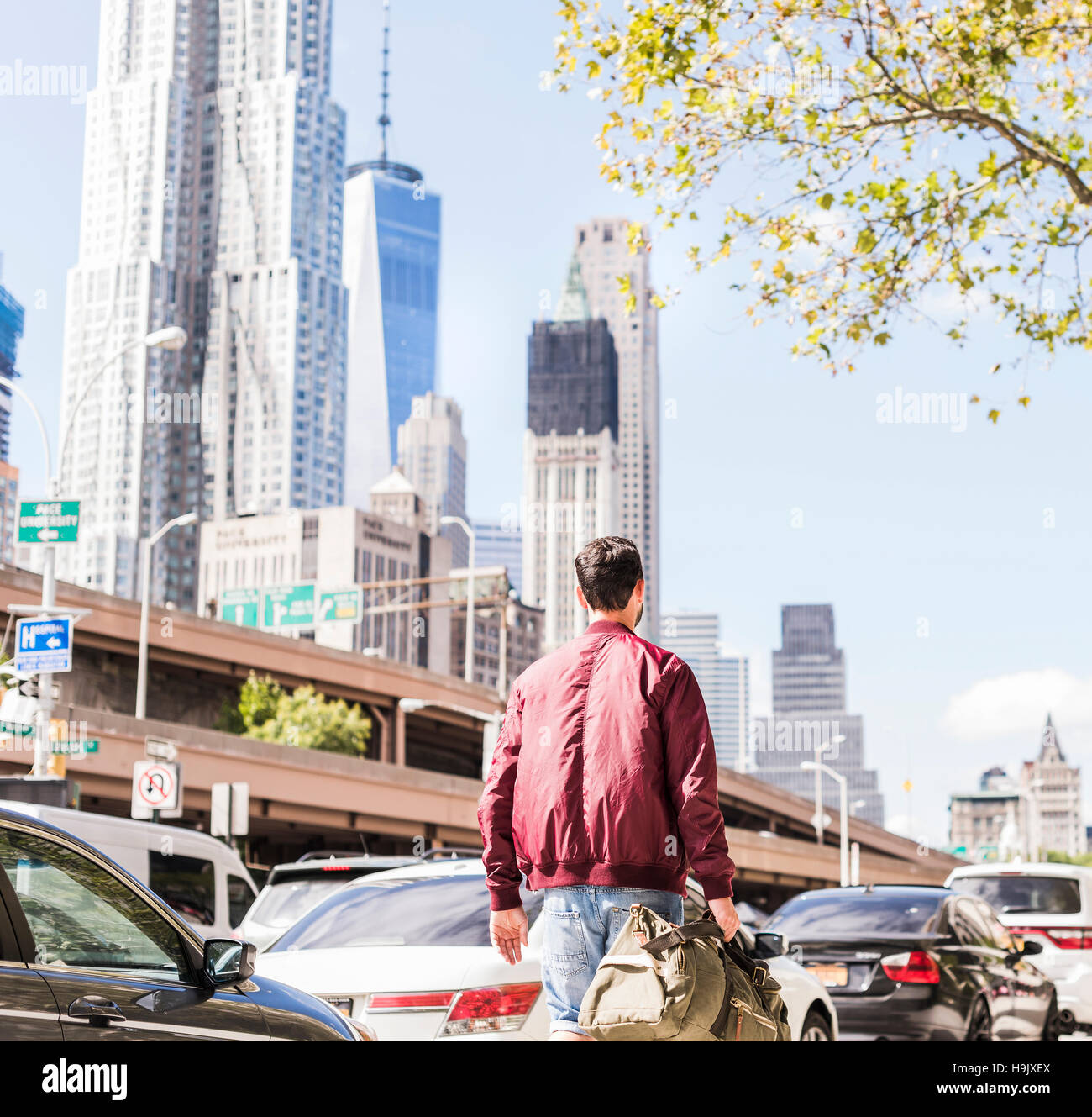 Back view of man in manhattan hi-res stock photography and images - Alamy