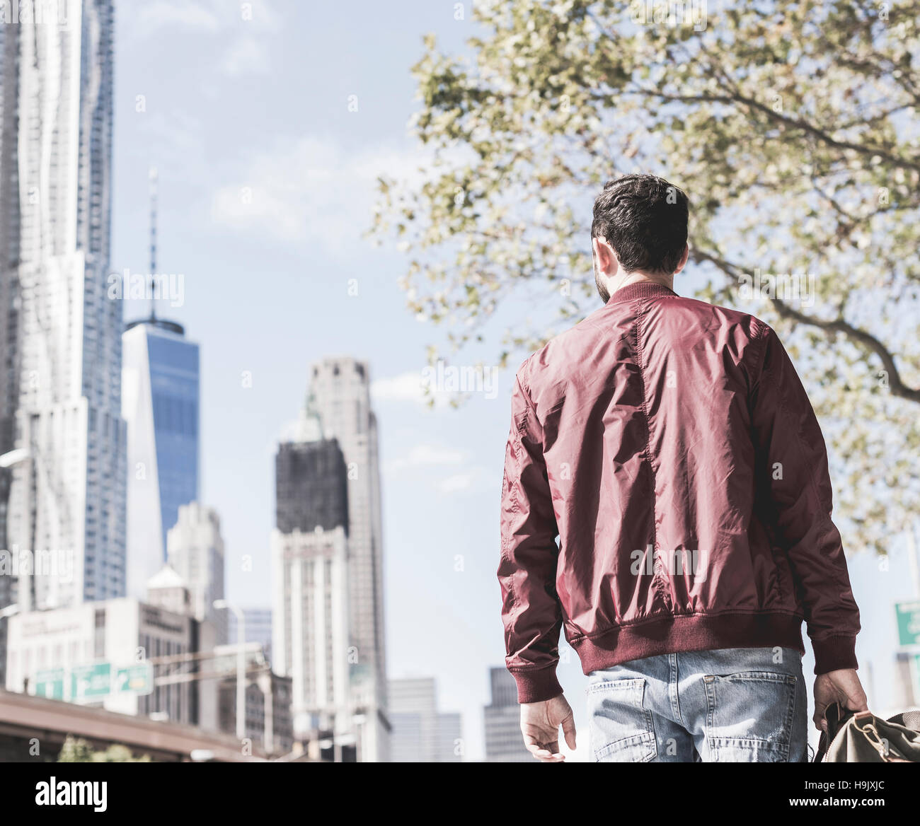 USA, New York City, back view of man looking on Manhattan Stock Photo ...