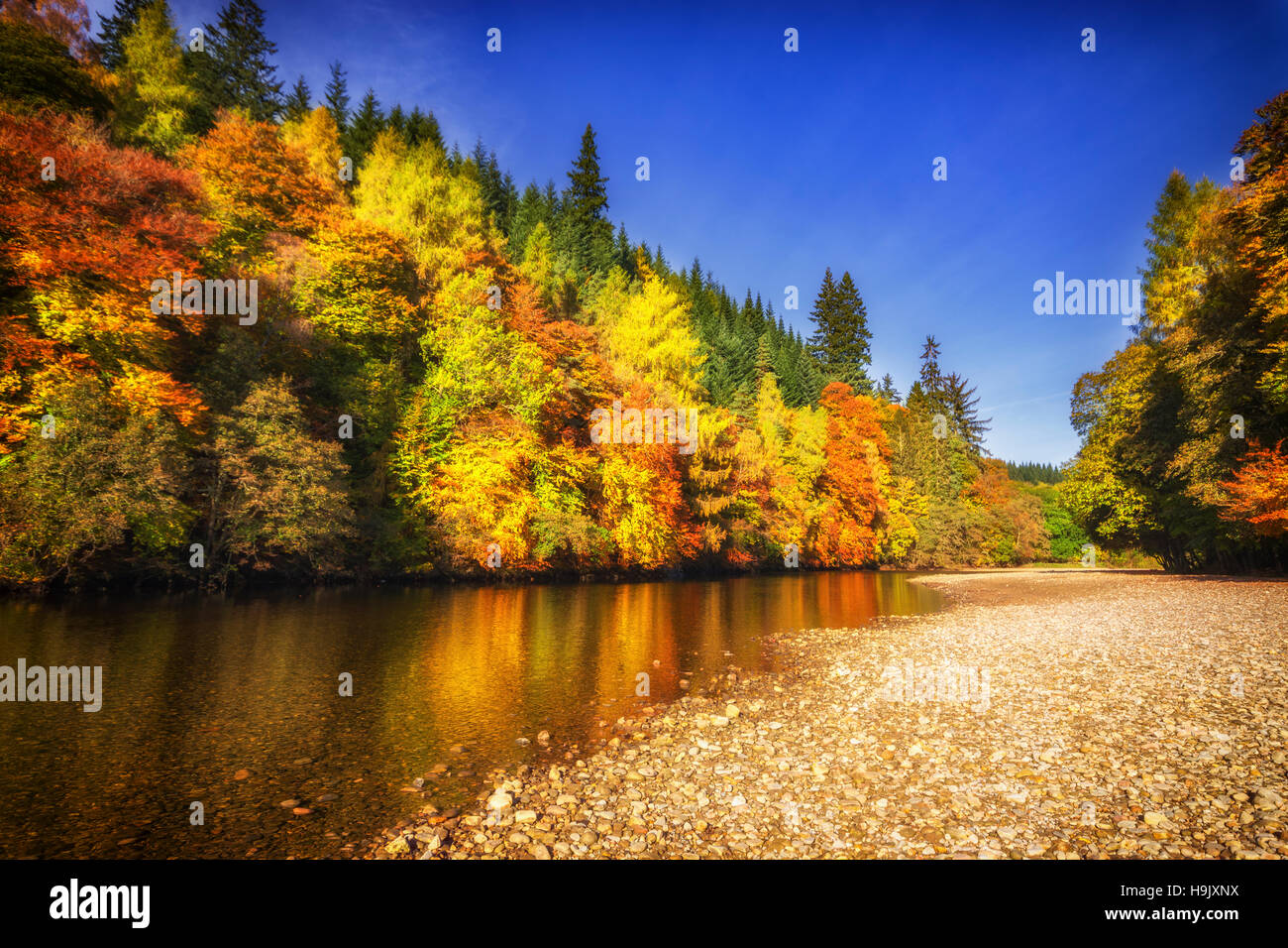 UK, Scotland, Pitlochry, Golden trees at river Garry Stock Photo - Alamy