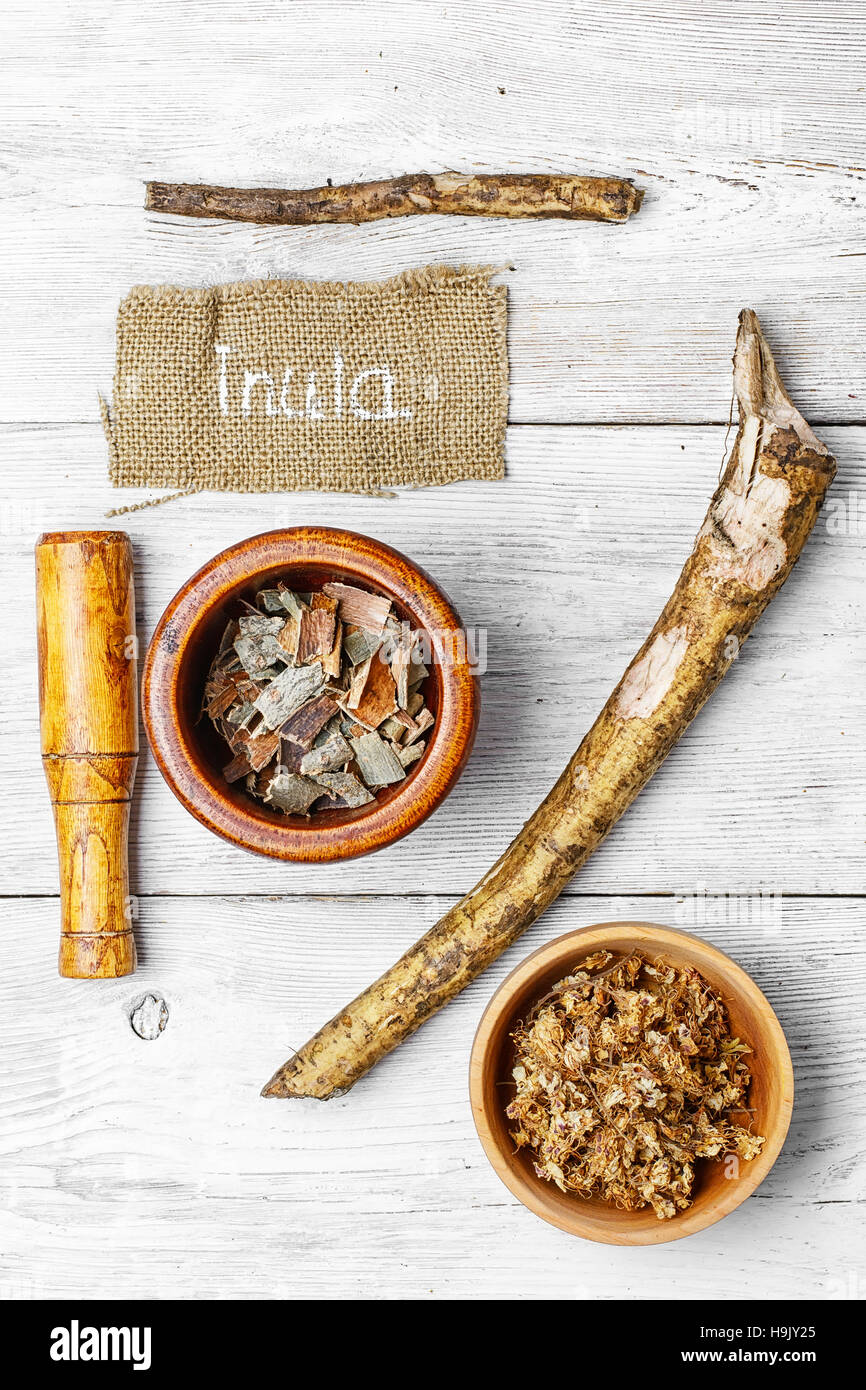 root of the medicinal plant inula on white background Stock Photo - Alamy