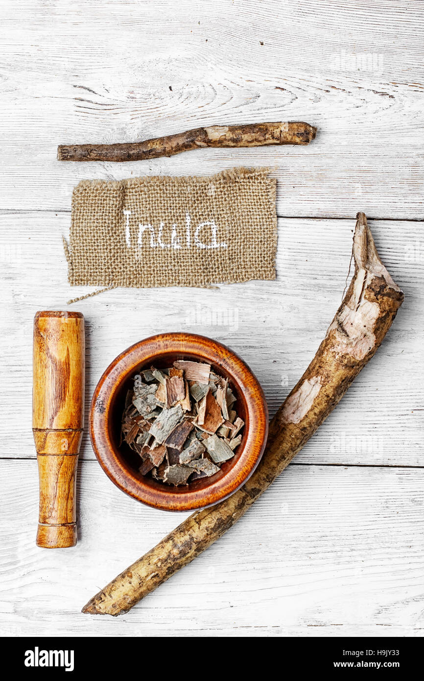 root of the medicinal plant inula on white background Stock Photo - Alamy