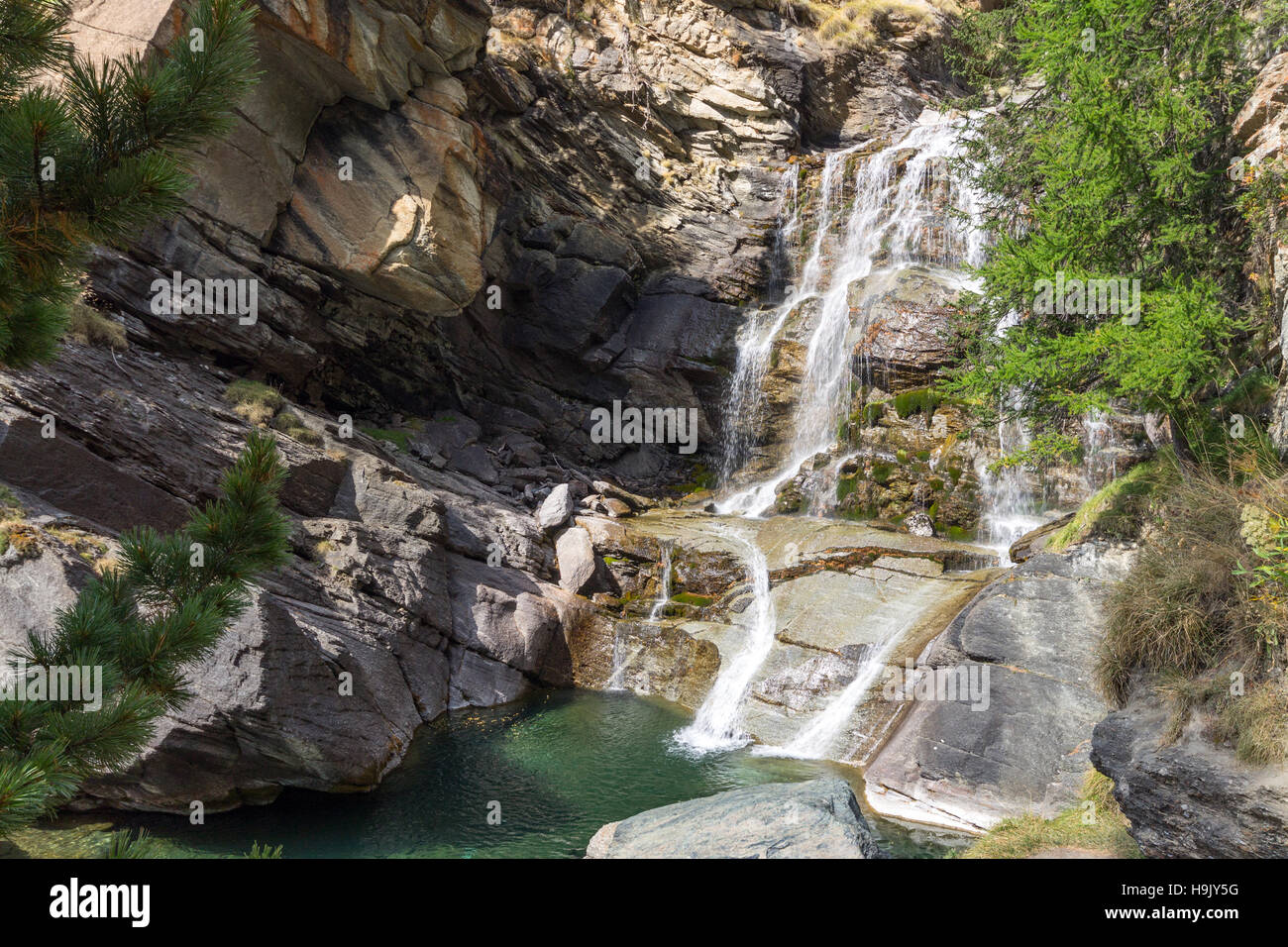 Lillaz hi-res stock photography and images - Alamy