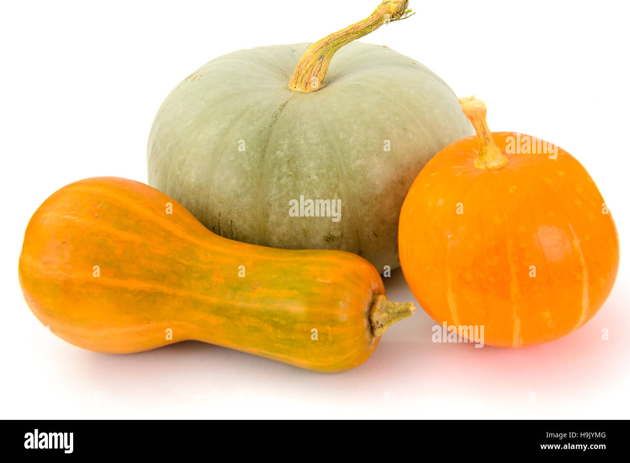 Fresh Ripe Pumpkin. Vegetables for Healthy Diet. Studio Photo Stock ...