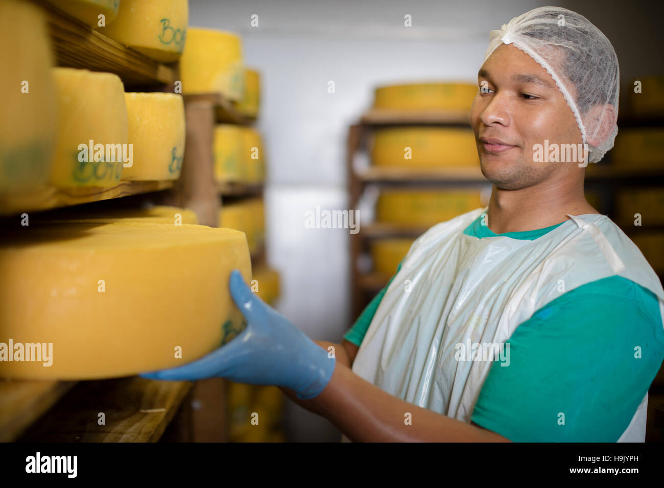 Cheese factory worker controlling maturation of cheese Stock Photo - Alamy