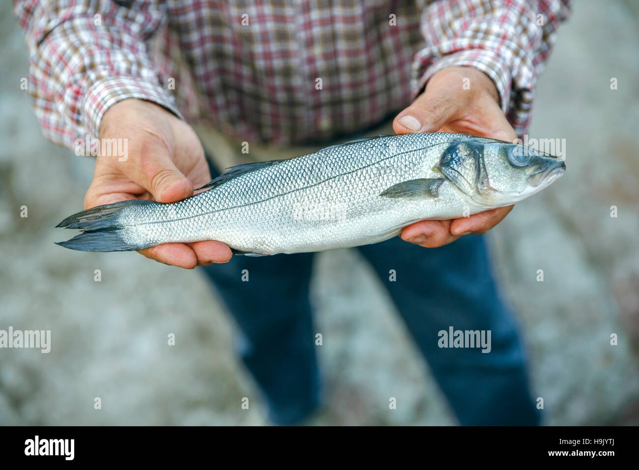 Senior man showing caught fish Stock Photo - Alamy