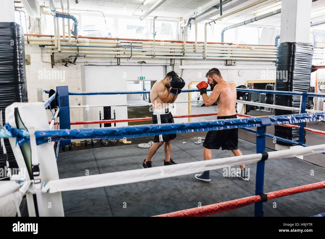 Two boxers fighting in boxing ring Stock Photo - Alamy