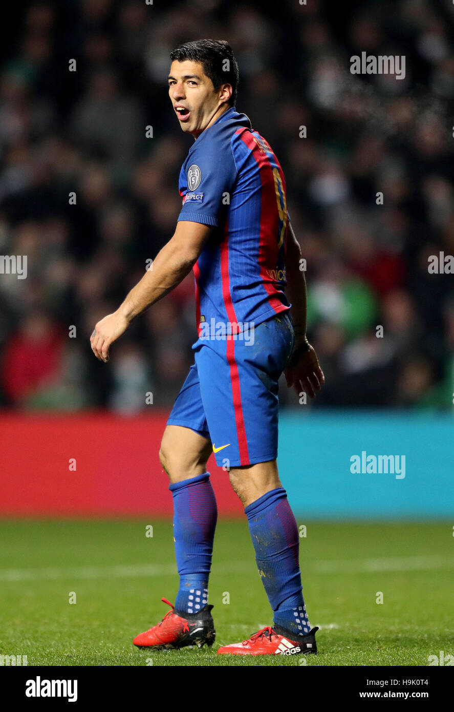 Barcelona's Luis Suarez during the UEFA Champions League match at ...