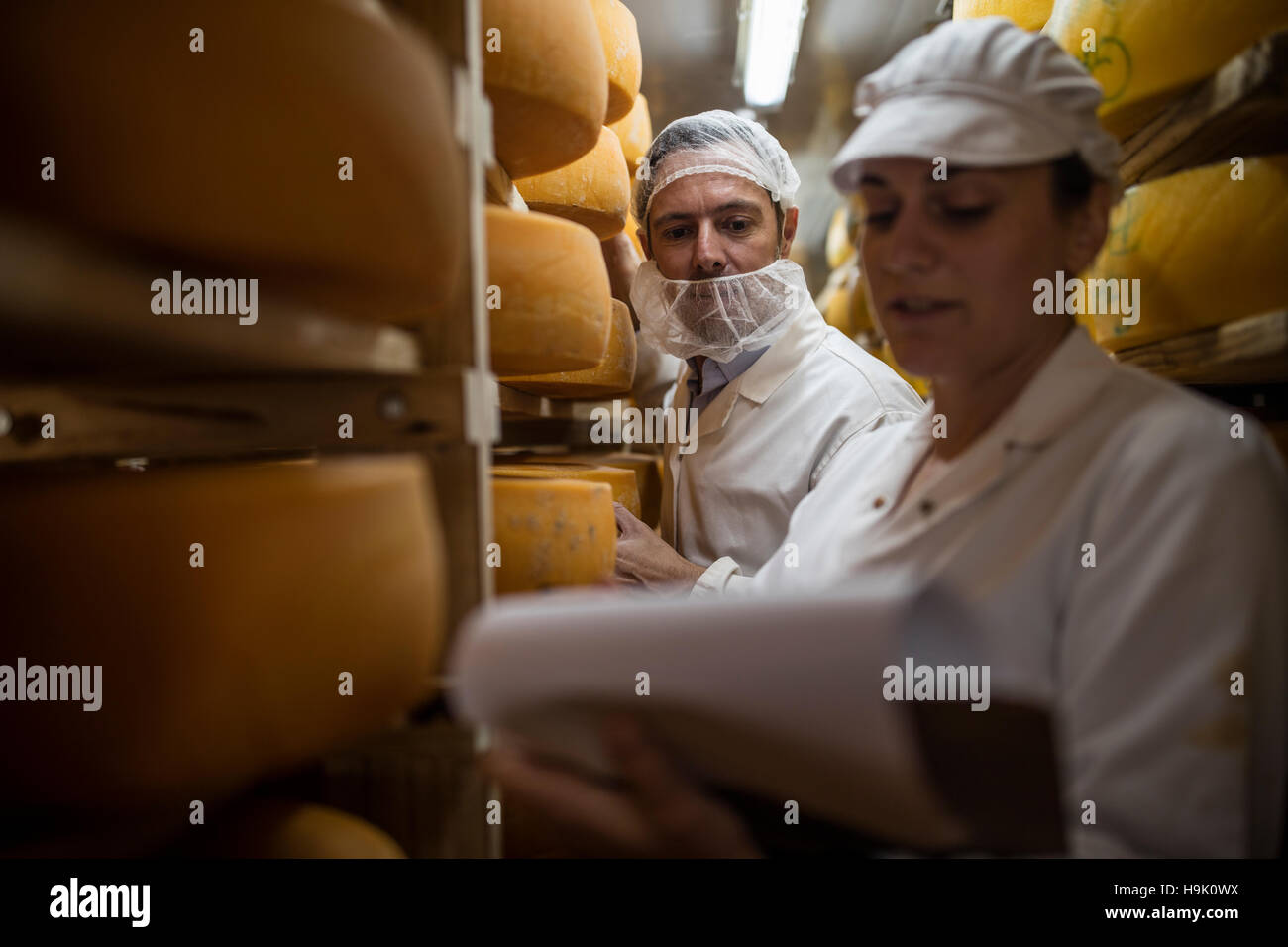 Cheese factory worker controlling maturation of cheese Stock Photo - Alamy