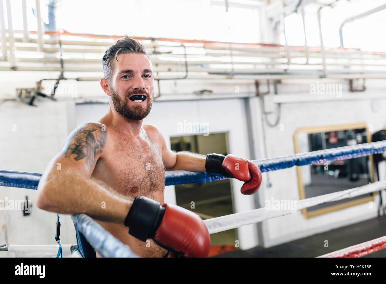 Portrait of boxer in boxing ring Stock Photo - Alamy