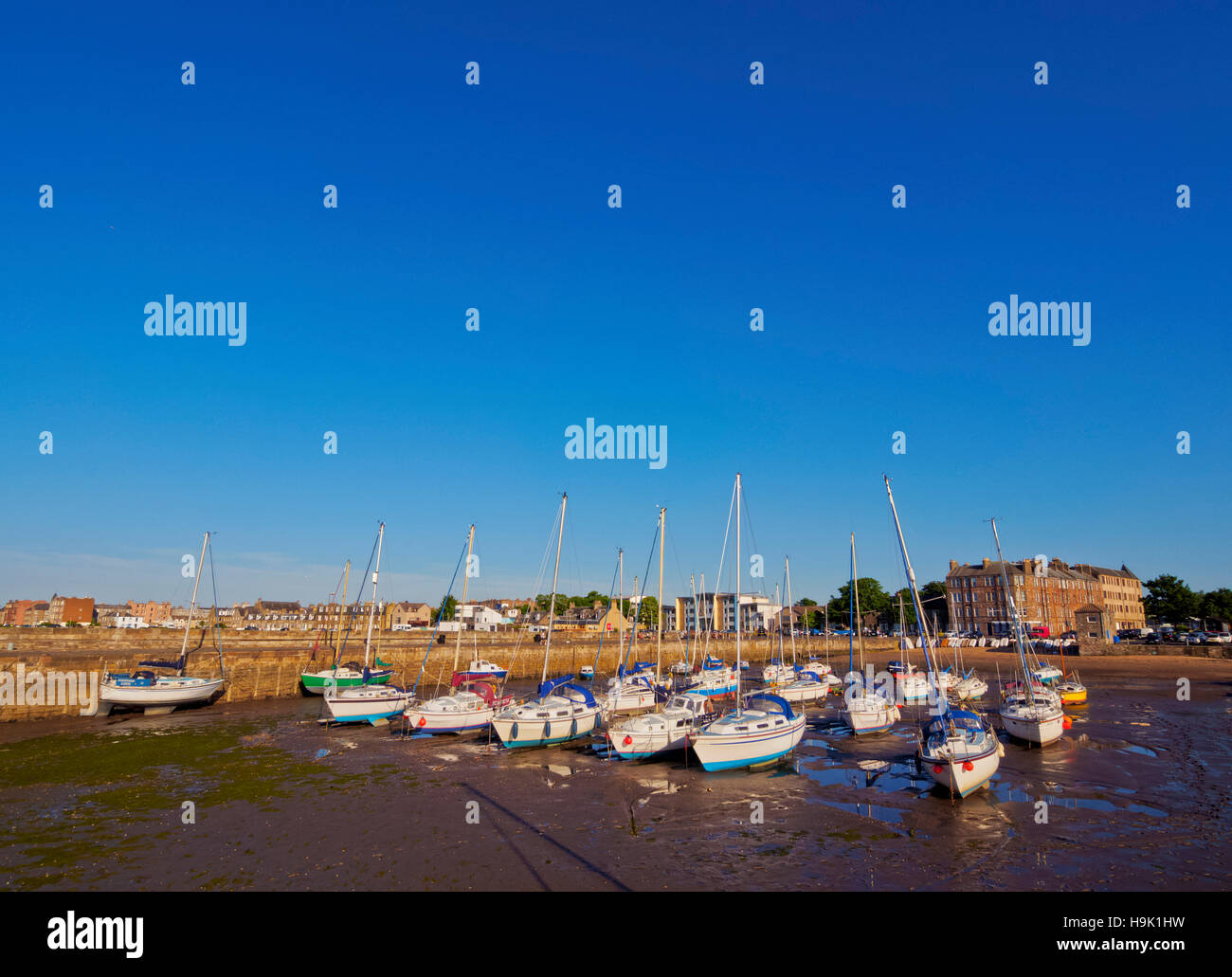 Musselburgh Beach High Resolution Stock Photography and Images - Alamy