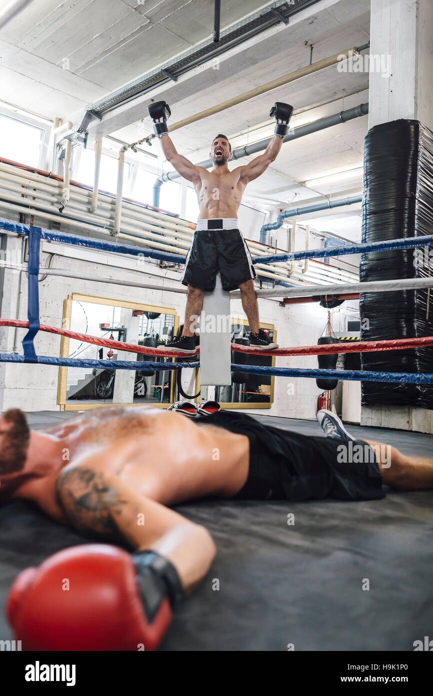 Boxer cheering victory hi-res stock photography and images - Alamy