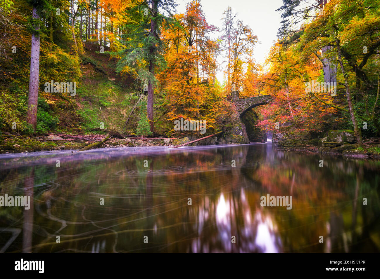UK, Scotland, Dunkeld, Autumn trees at river Braan Stock Photo - Alamy