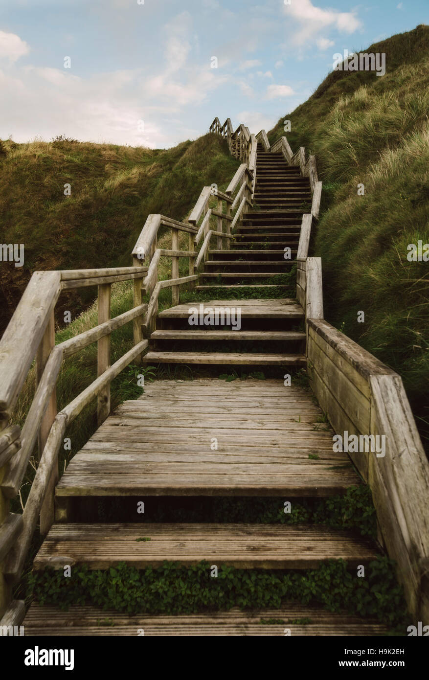 Wooden stairs upon a hill in nature Stock Photo - Alamy