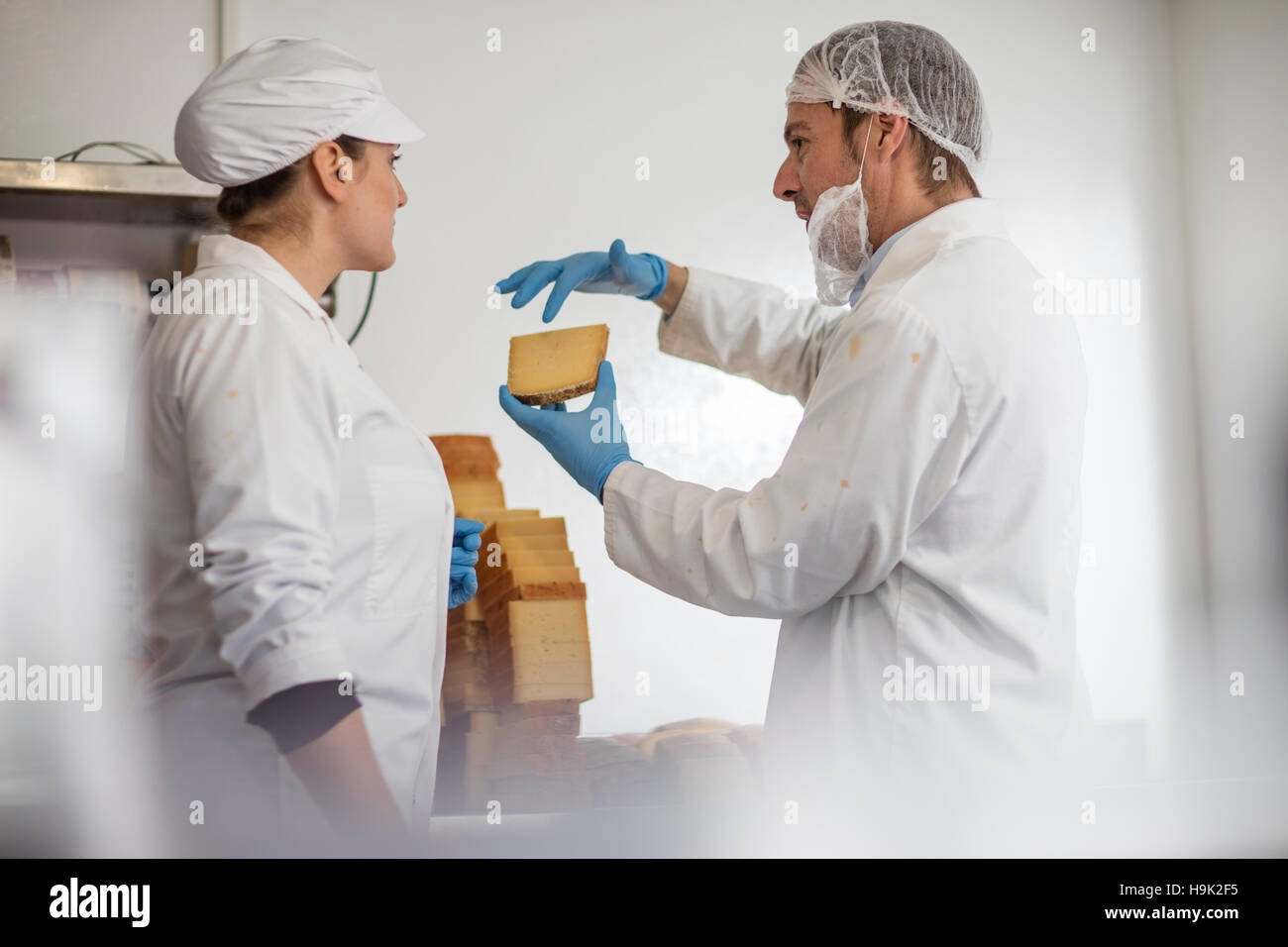 Cheese factory workers testing quality of cheese Stock Photo - Alamy