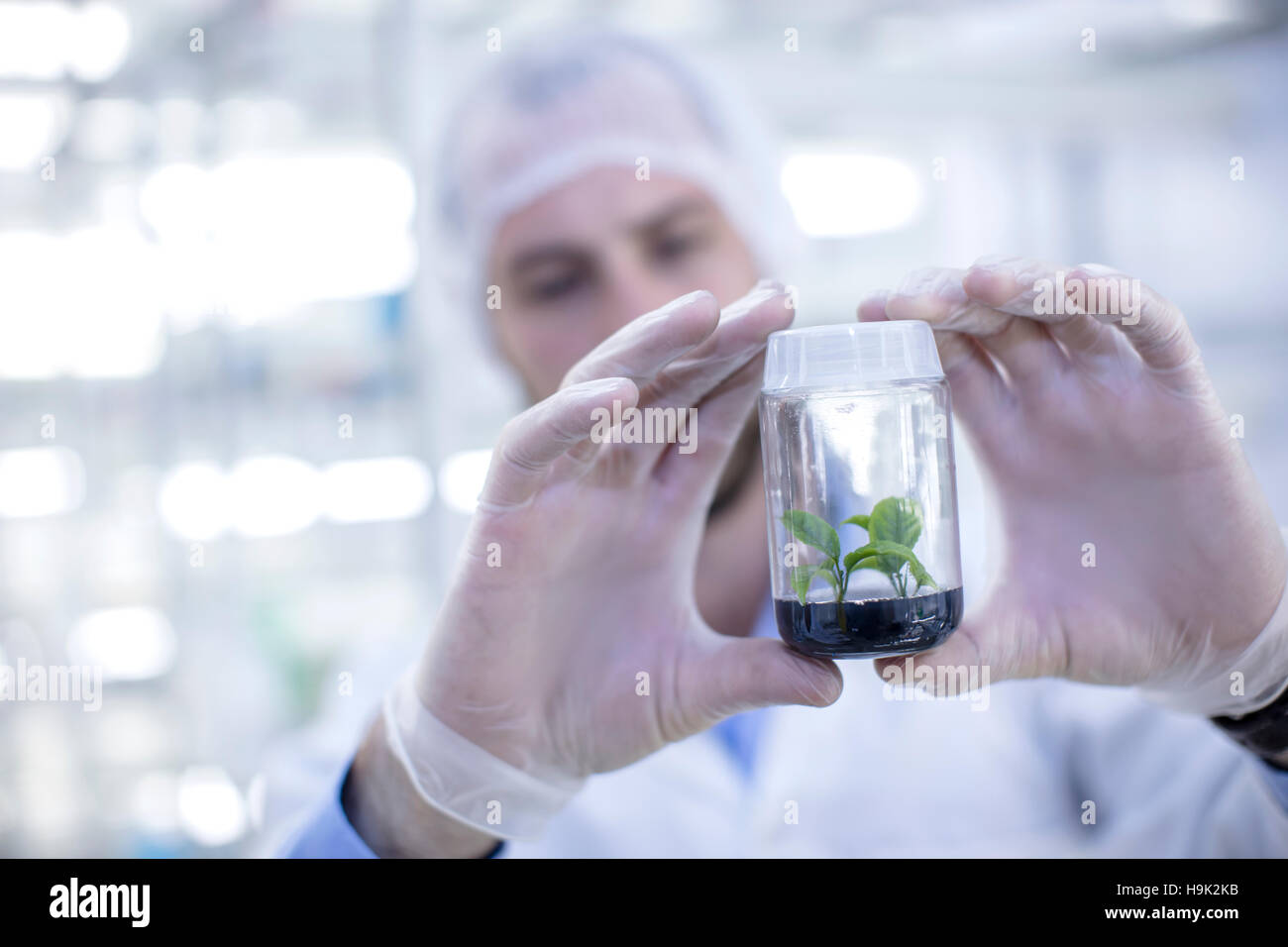 Scientist in lab holding plant sample Stock Photo - Alamy