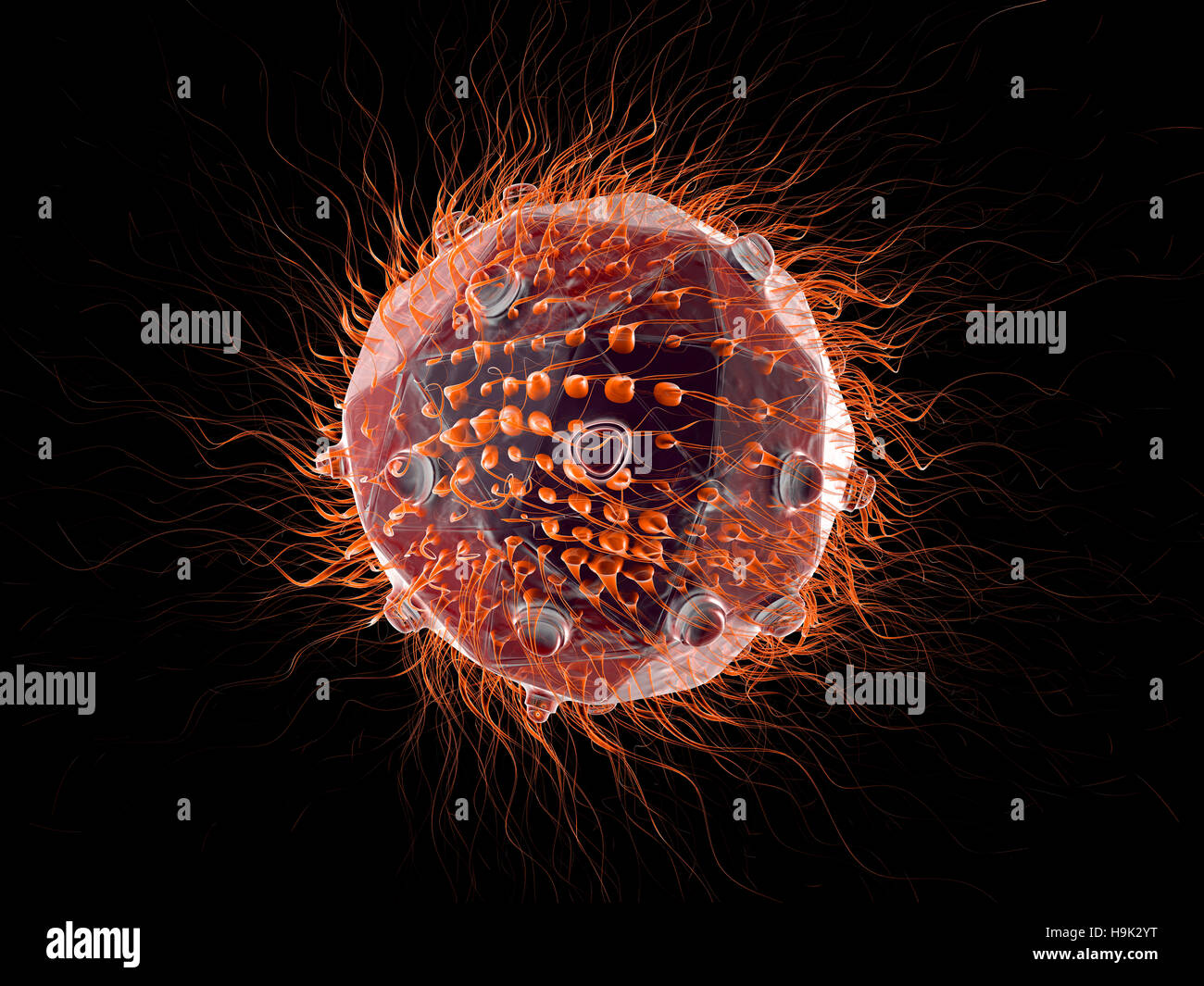 Virus, 3D Rendering Stock Photo - Alamy