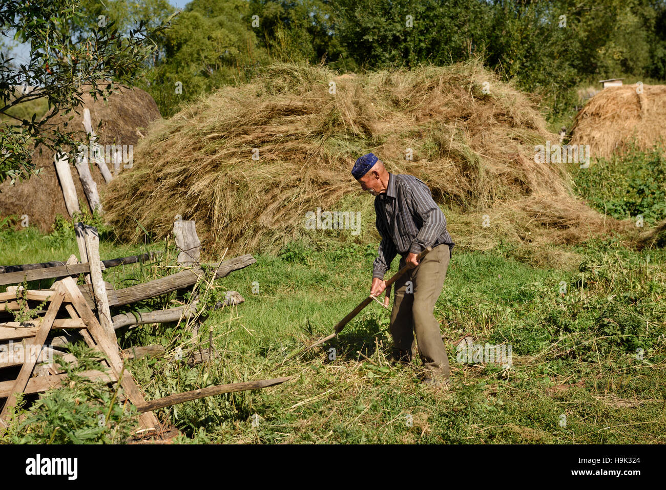 Kazakh man using a scythe to mow grass with stacks of hay in Saty ...