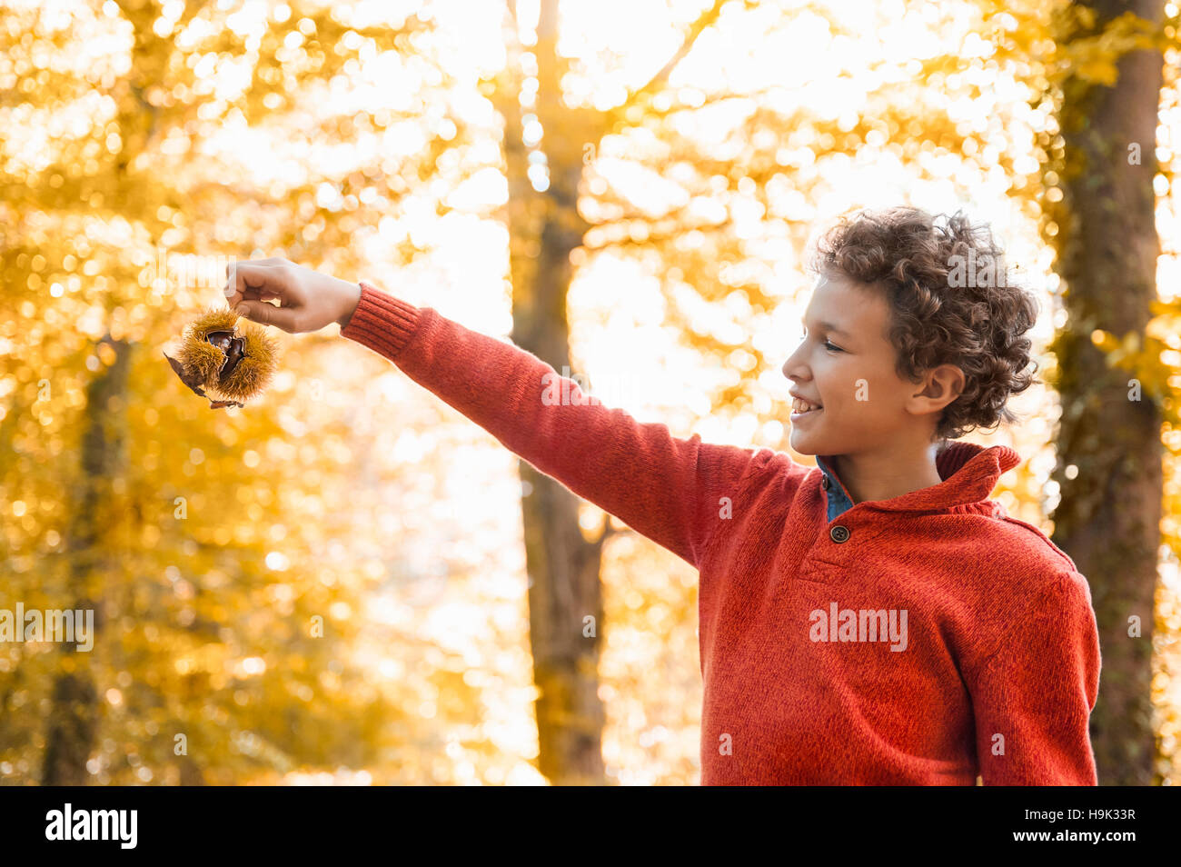Smiling boy with sweet chestnut in the autumnal forest Stock Photo - Alamy