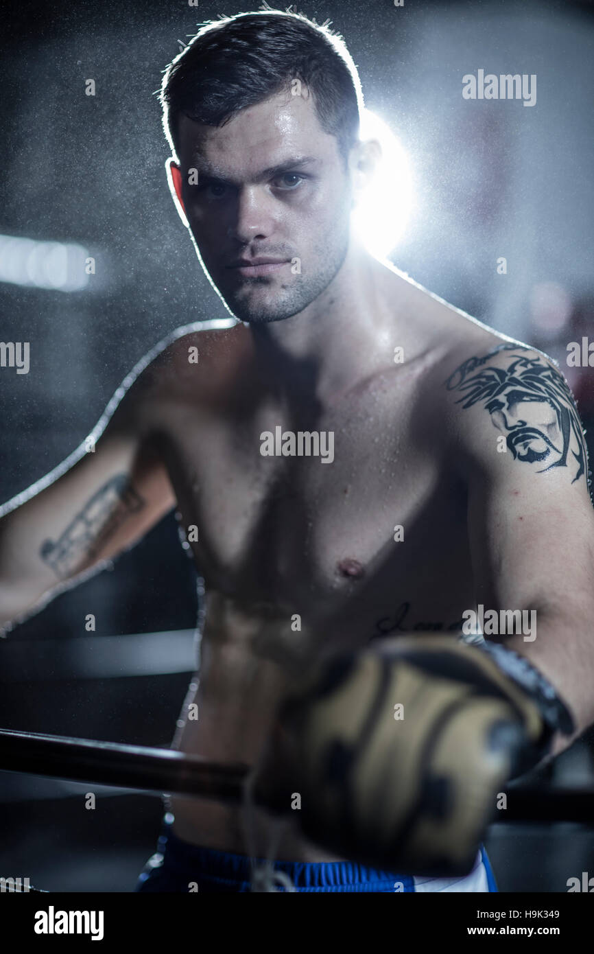 Portrait of boxer in boxing ring Stock Photo - Alamy