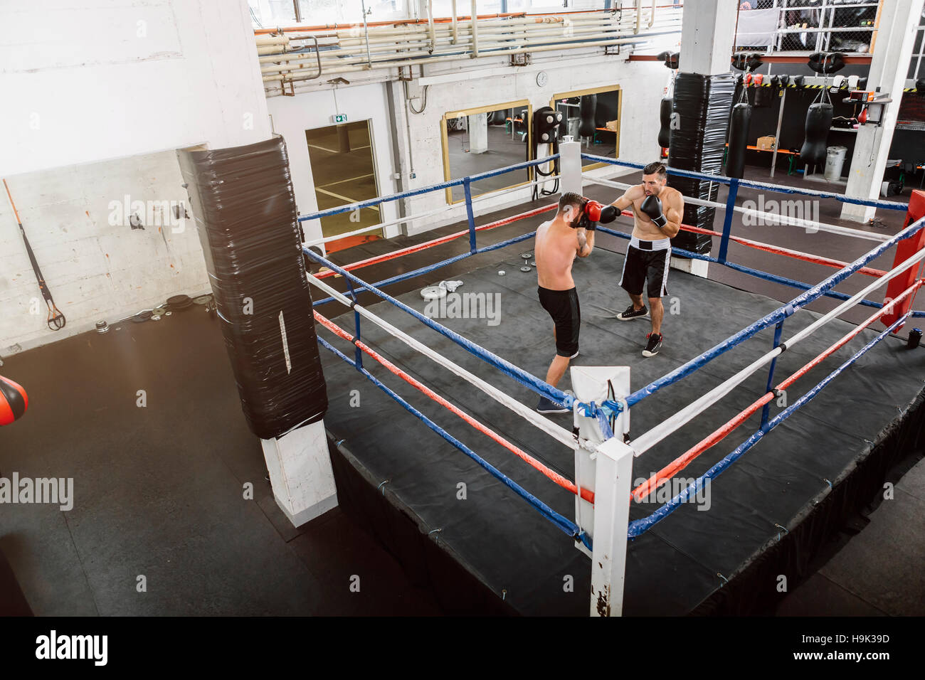 Two boxers fighting in boxing ring Stock Photo - Alamy