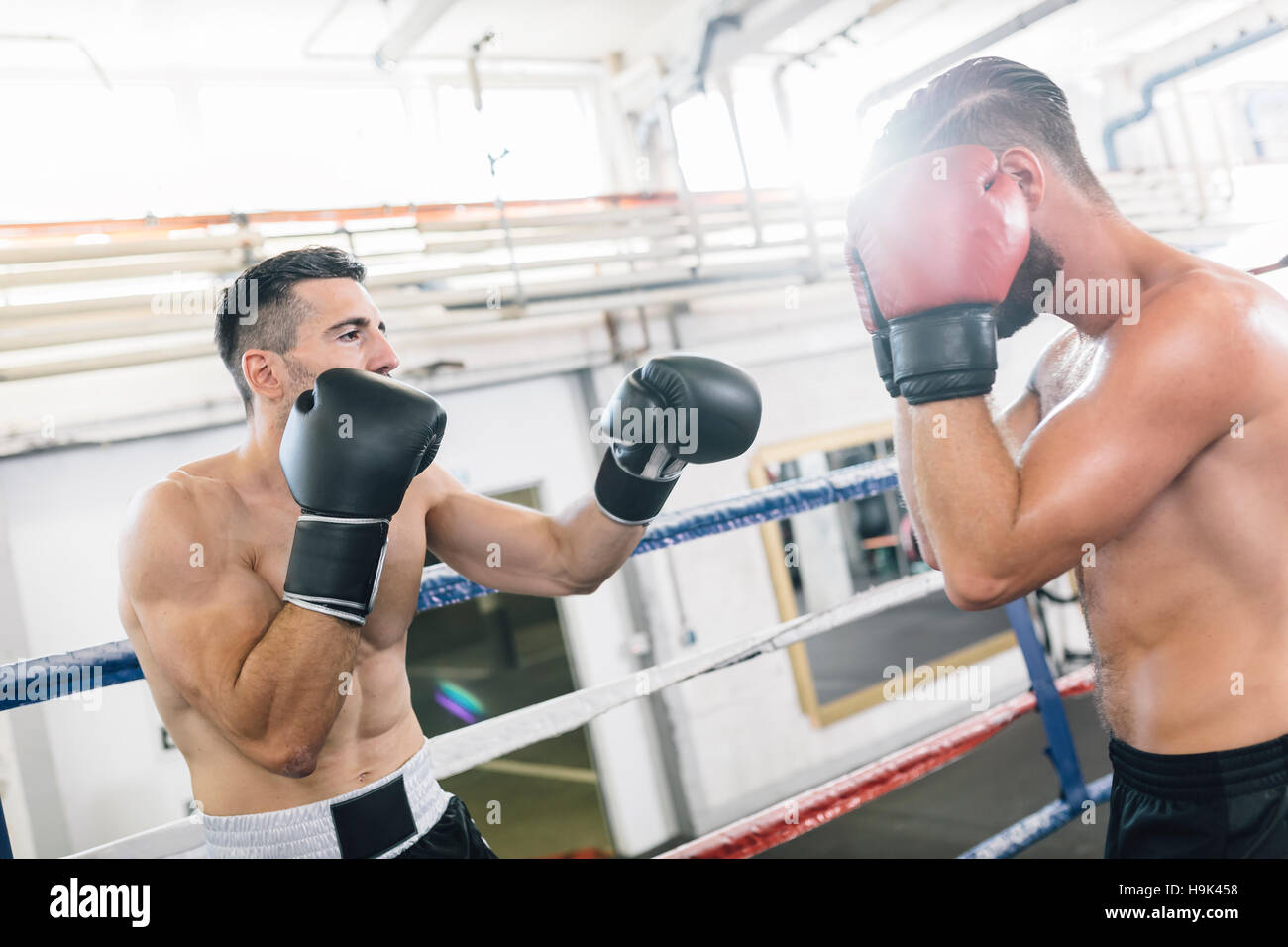 Two boxers fighting in boxing ring Stock Photo - Alamy