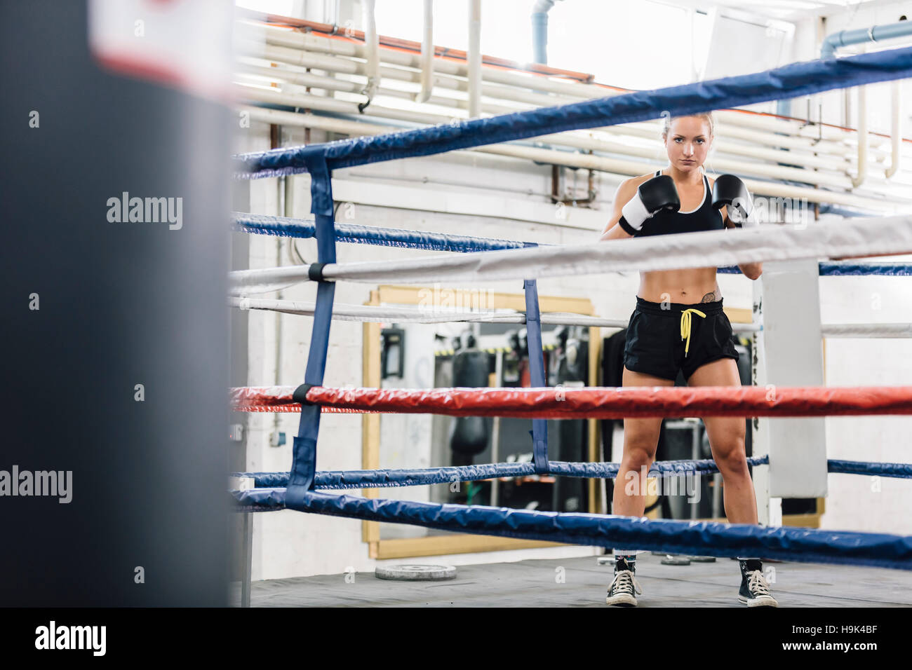 Portrait of confident female boxer in boxing ring Stock Photo - Alamy