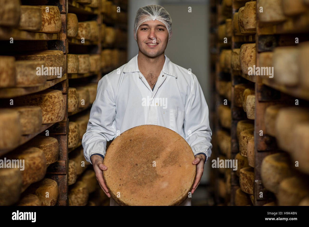 Cheese factory worker proudly holding loaf of cheese Stock Photo - Alamy