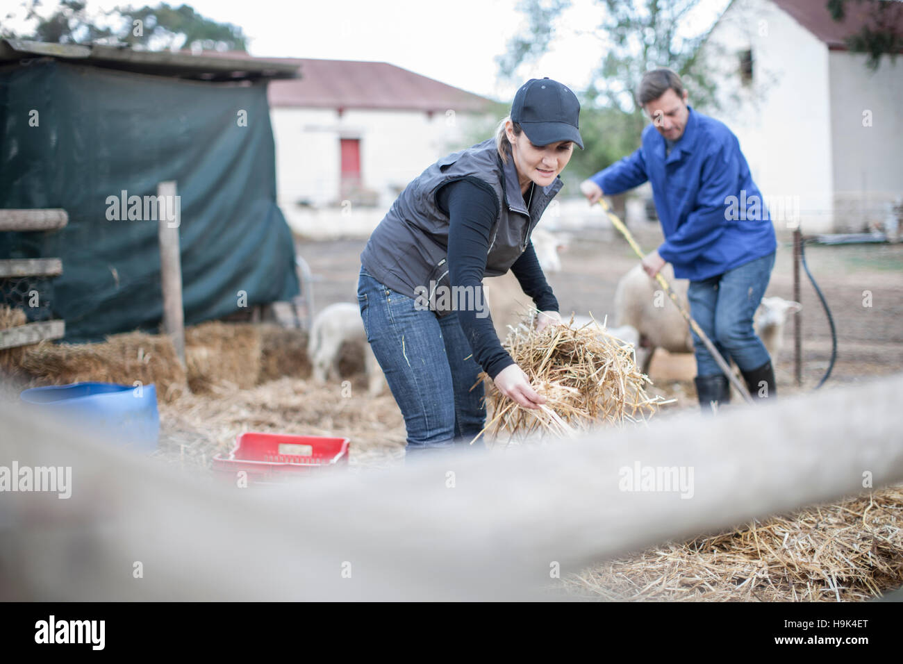 People working on a farm Stock Photo - Alamy