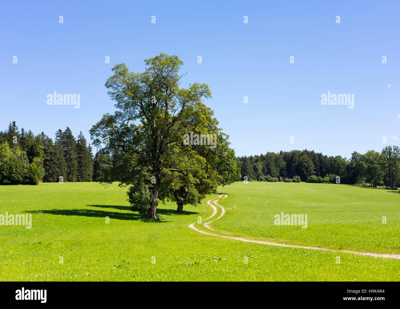 Field path hi-res stock photography and images - Alamy