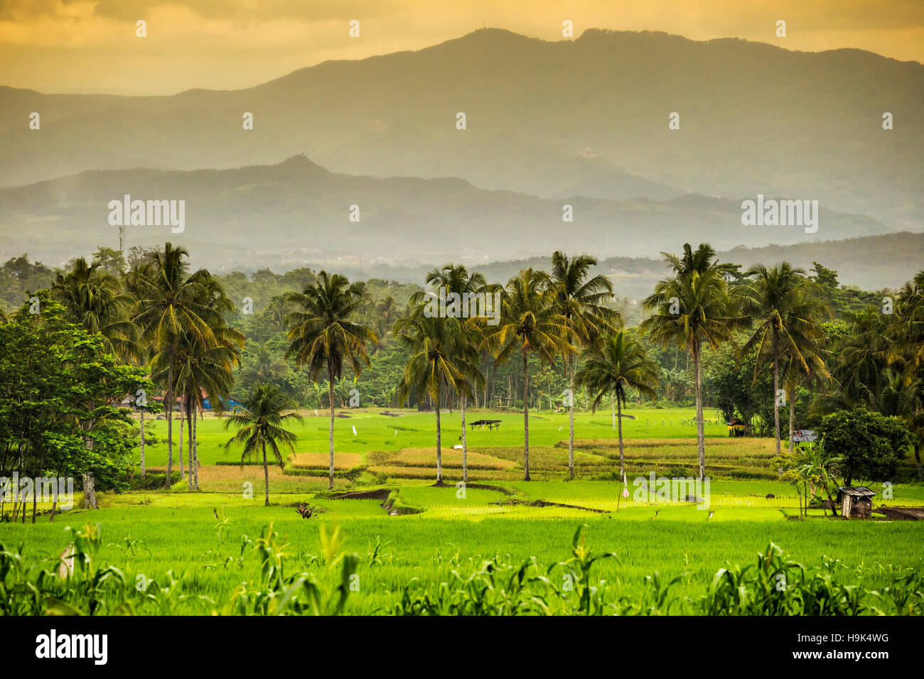 Indonesia java island landscape hi-res stock photography and images - Alamy