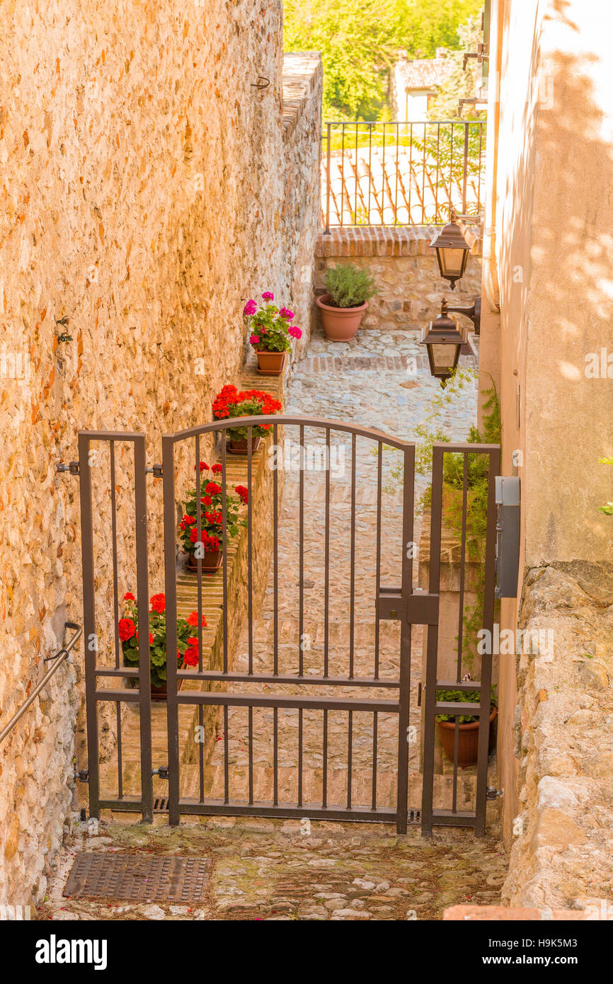 courtyard of an ancient medieval house with geraniums Stock Photo - Alamy
