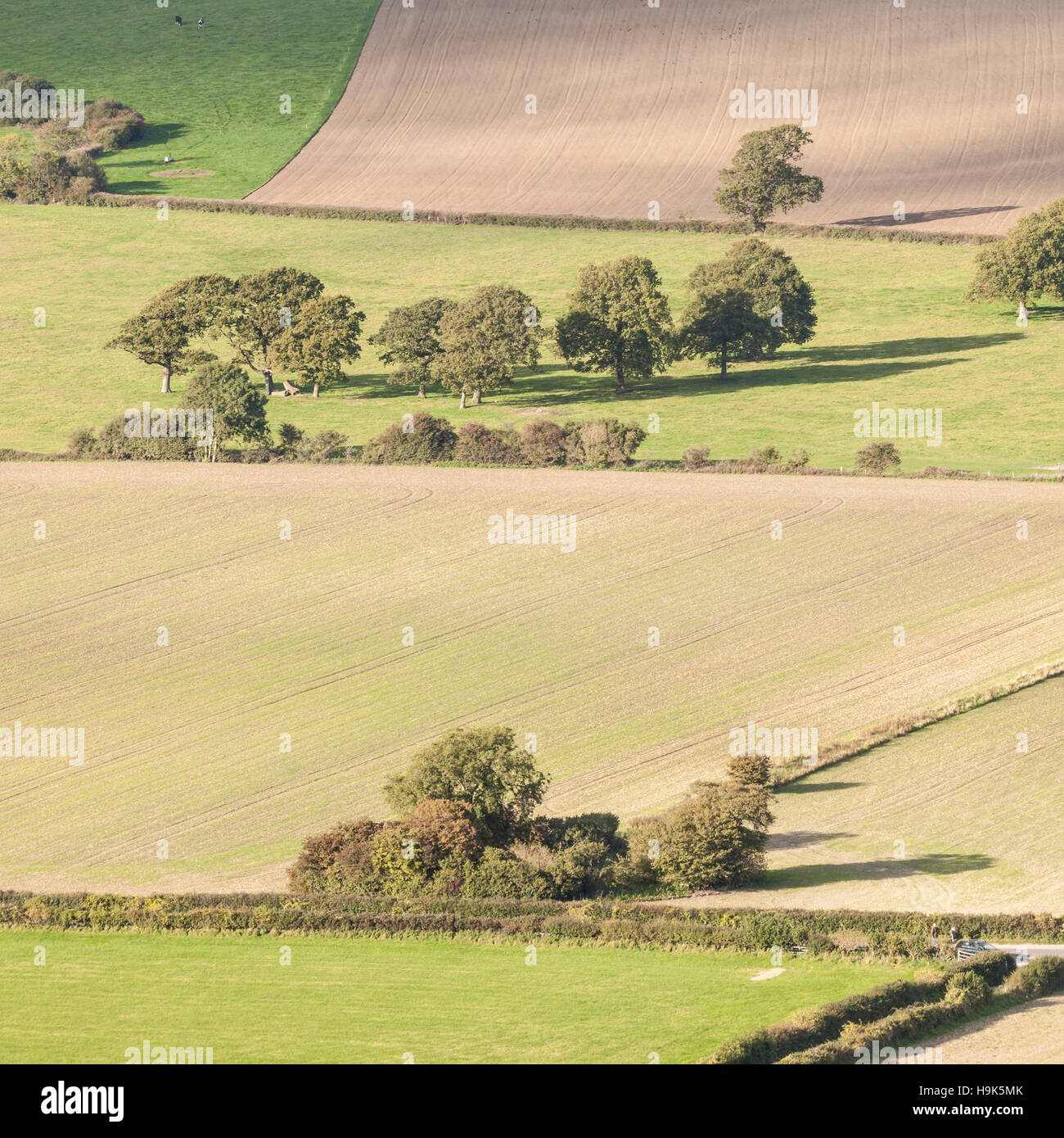 Patchwork fields in the south downs of England Stock Photo - Alamy
