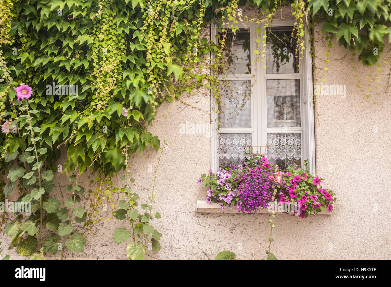 A pretty window on a house in France Stock Photo - Alamy