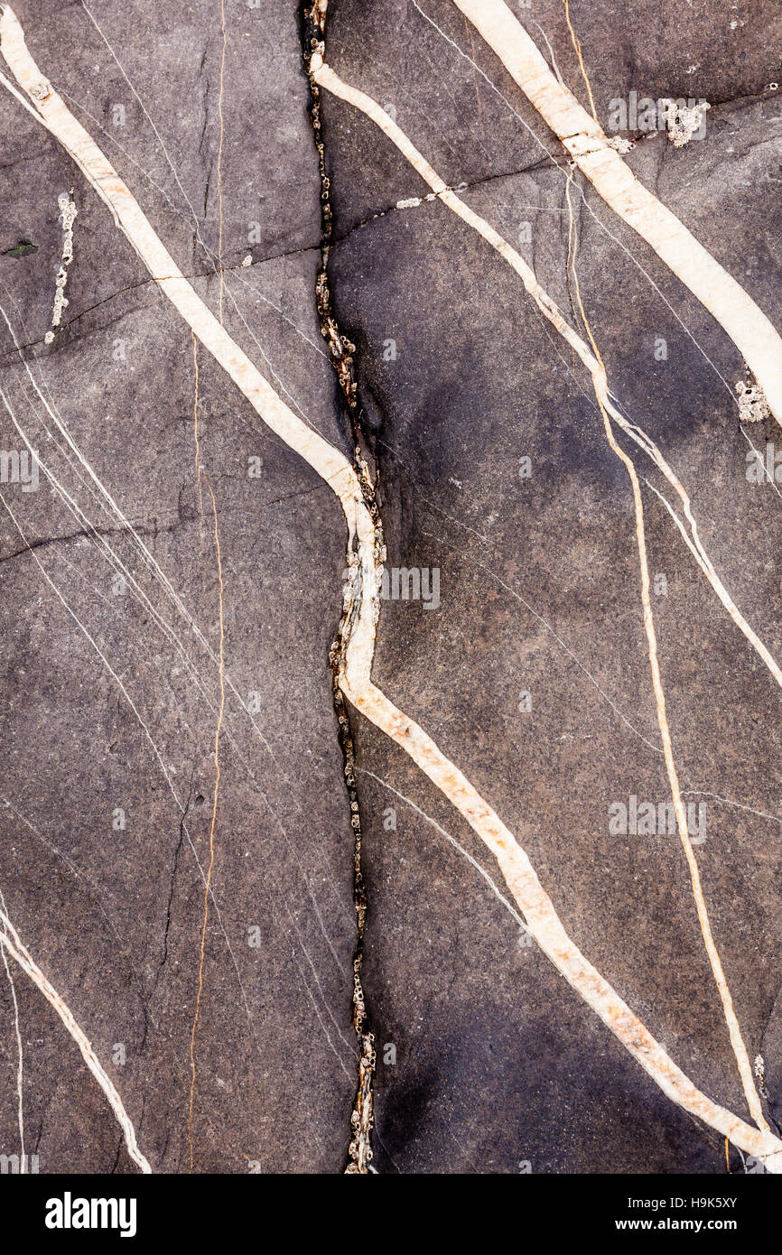 Detail of quartz veins in rocks on The Strangles beach Stock Photo - Alamy