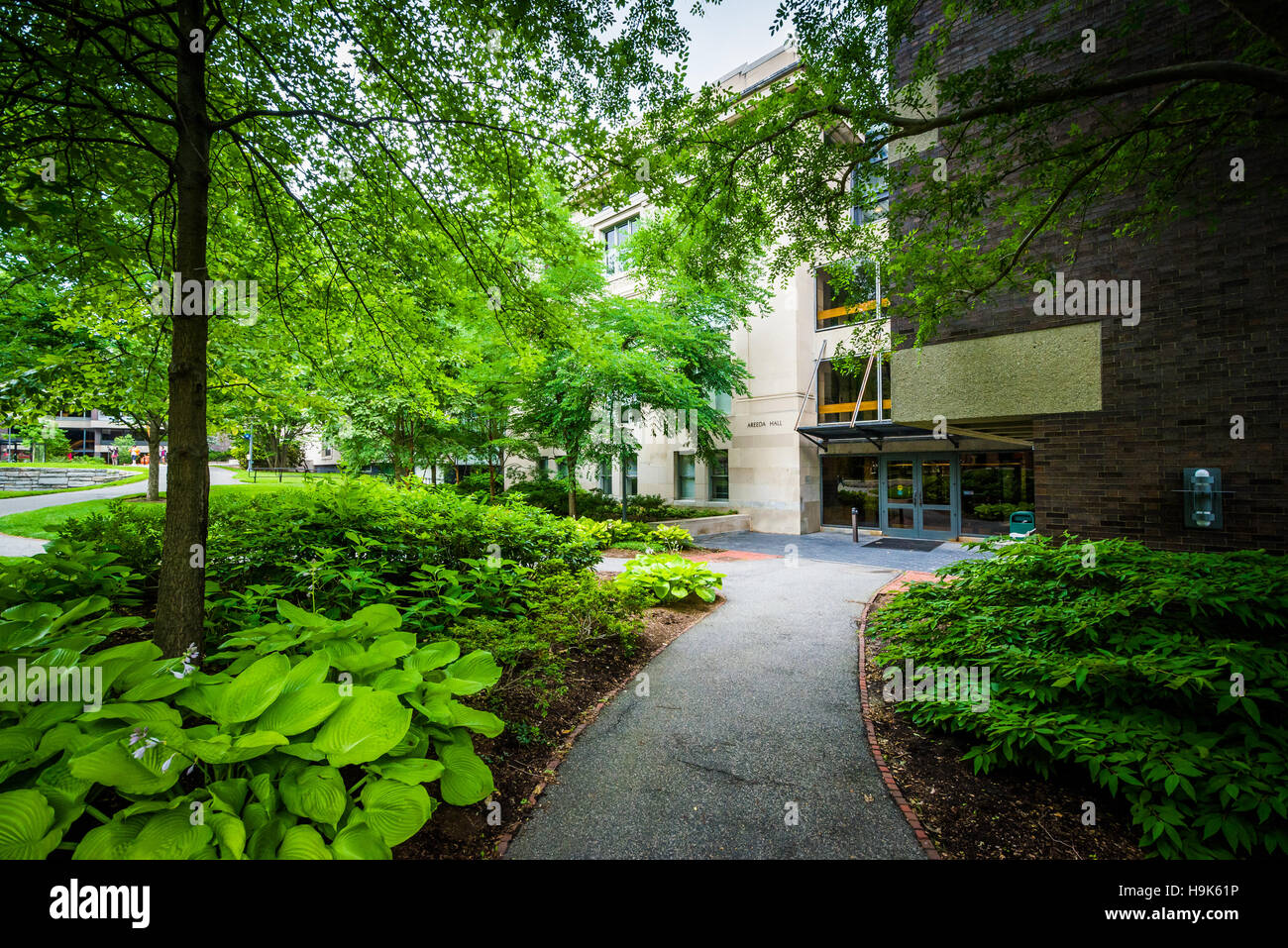 Harvard university building beautiful hi-res stock photography and ...