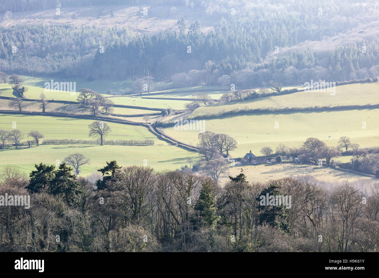 Long afternoon shadows across some Exmoor scenery from the village of ...