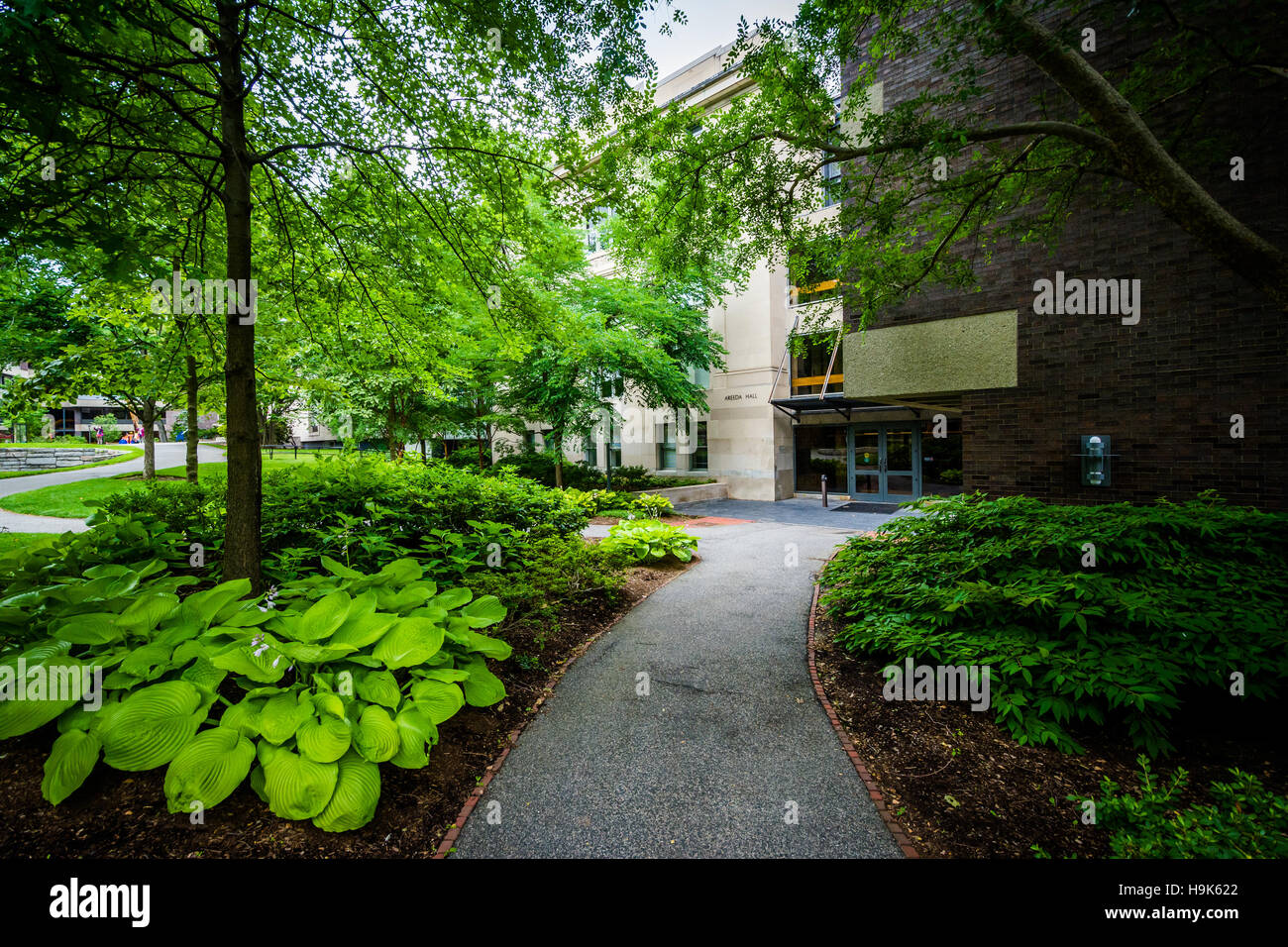 Areeda Hall, at Harvard University, in Cambridge, Massachusetts Stock ...