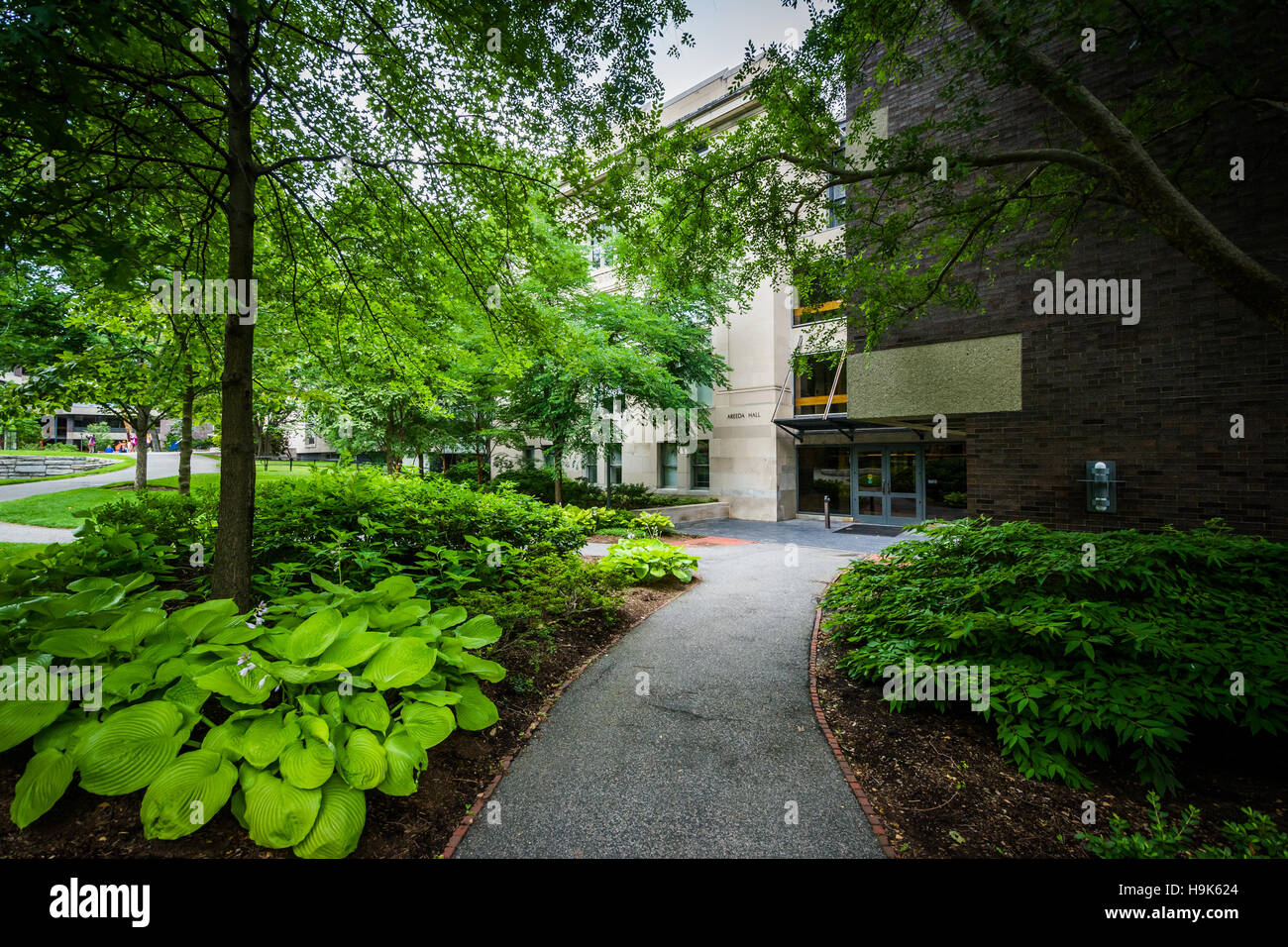 Areeda Hall, at Harvard University, in Cambridge, Massachusetts Stock ...