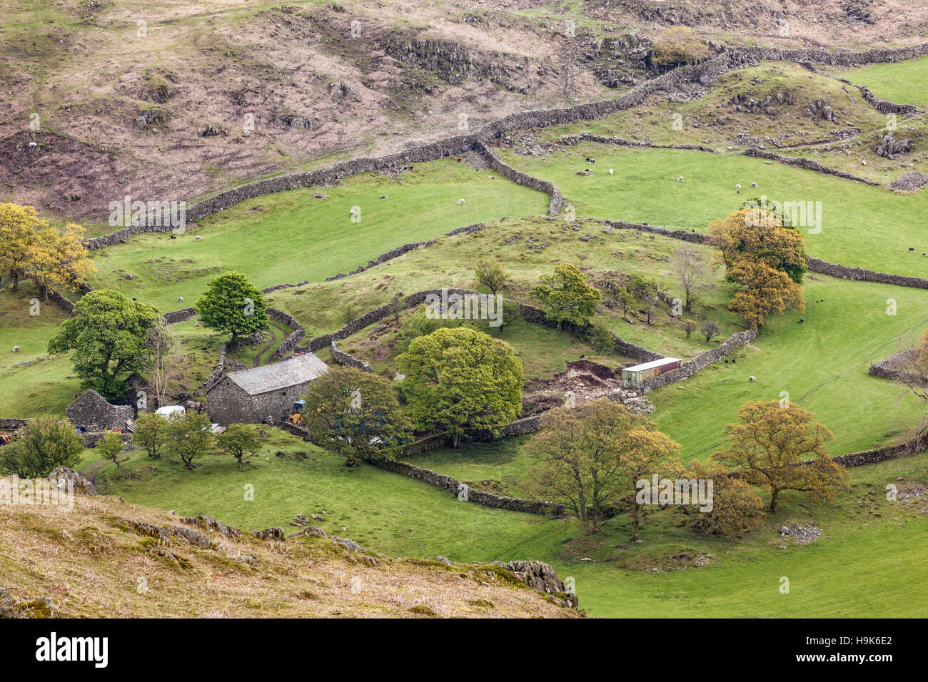 Dunnerdale forest hi-res stock photography and images - Alamy