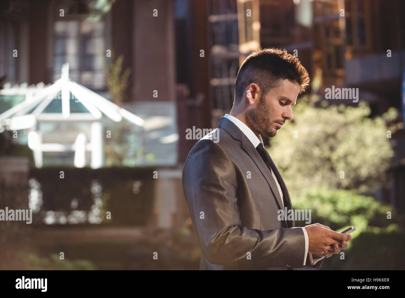 Businessman using mobile phone Stock Photo - Alamy