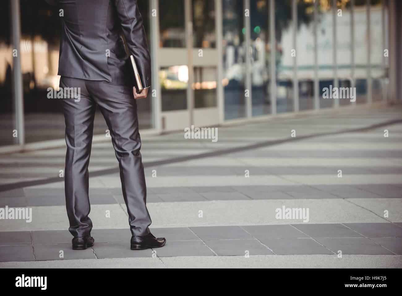 Businessman with a diary standing in the campus Stock Photo - Alamy