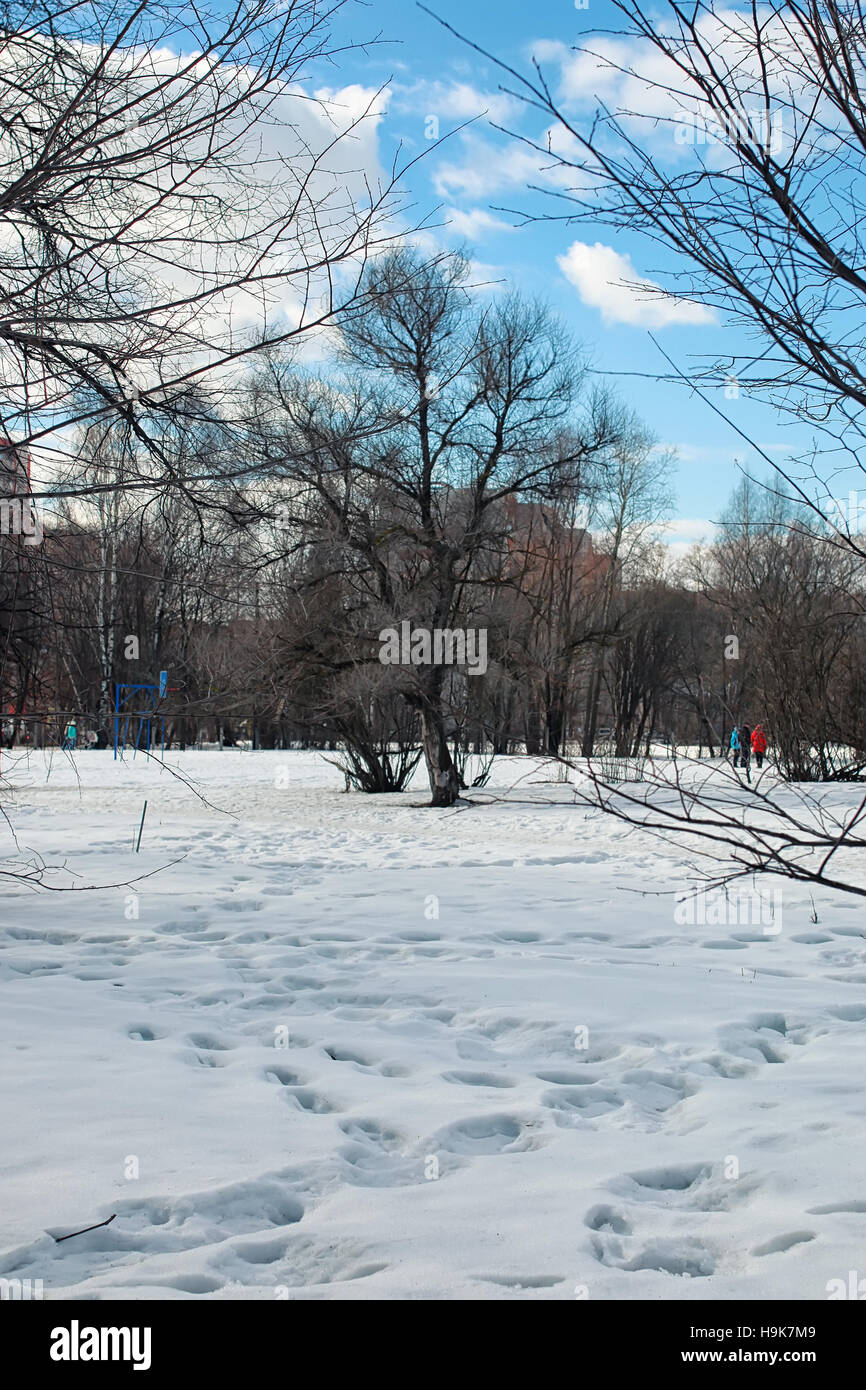 thaw snow lanscape tree Stock Photo - Alamy