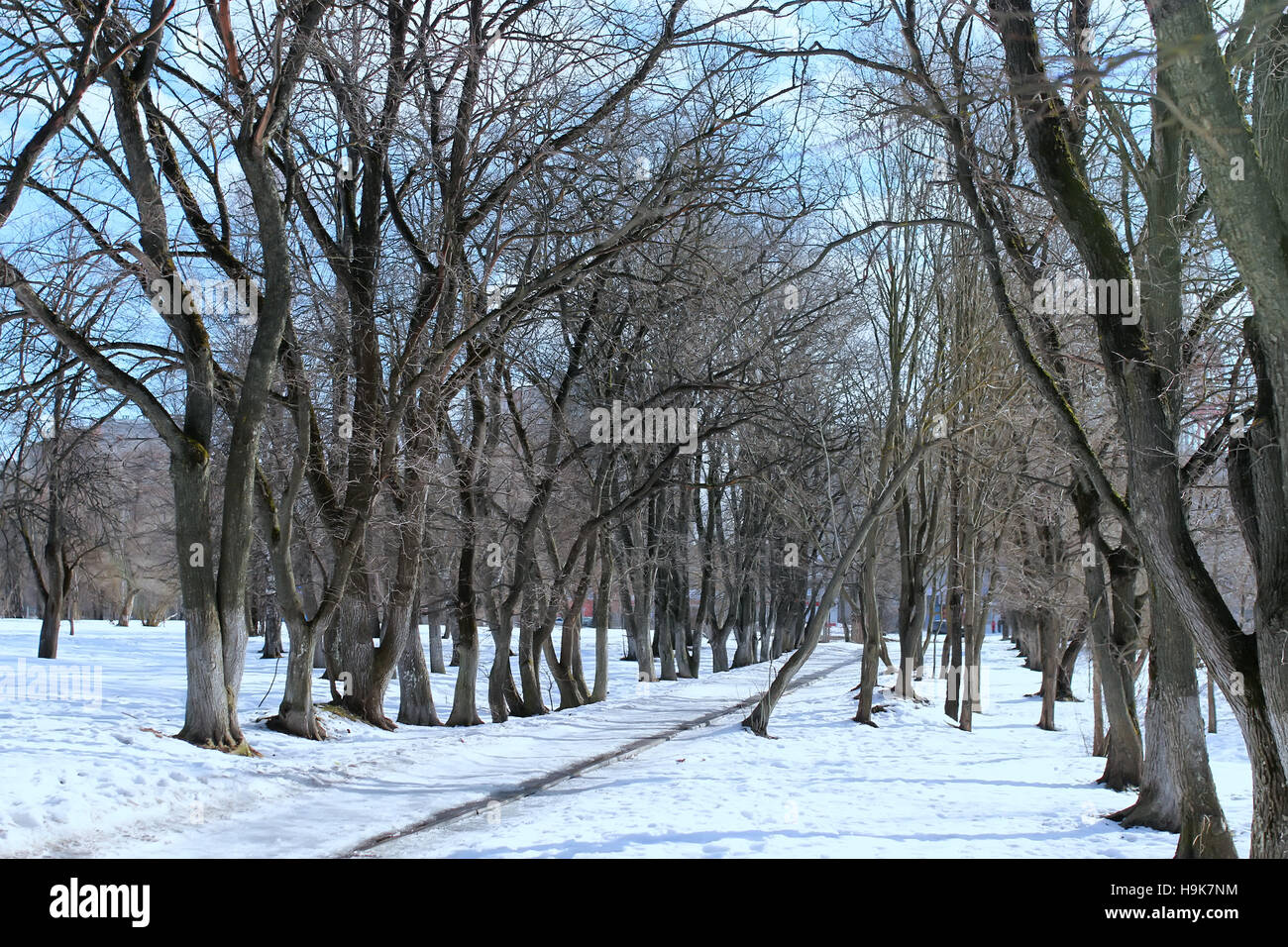 thaw spring lanscape tree Stock Photo - Alamy