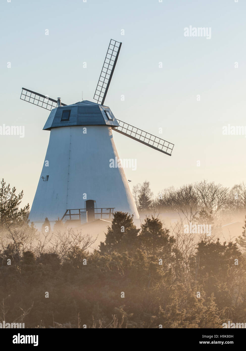 Pivarootsi windmill in fog in Virtsu Western Estonia Stock Photo - Alamy
